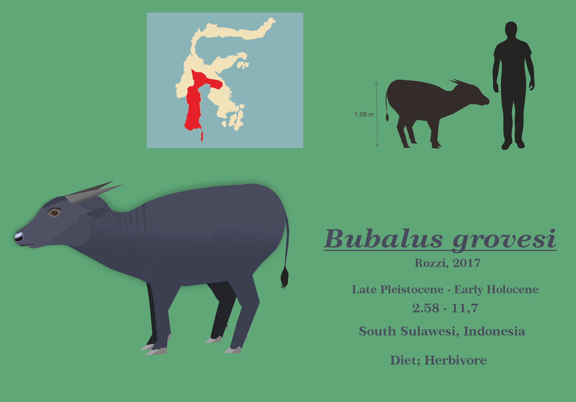 ArtStation - Bubalus grovesi