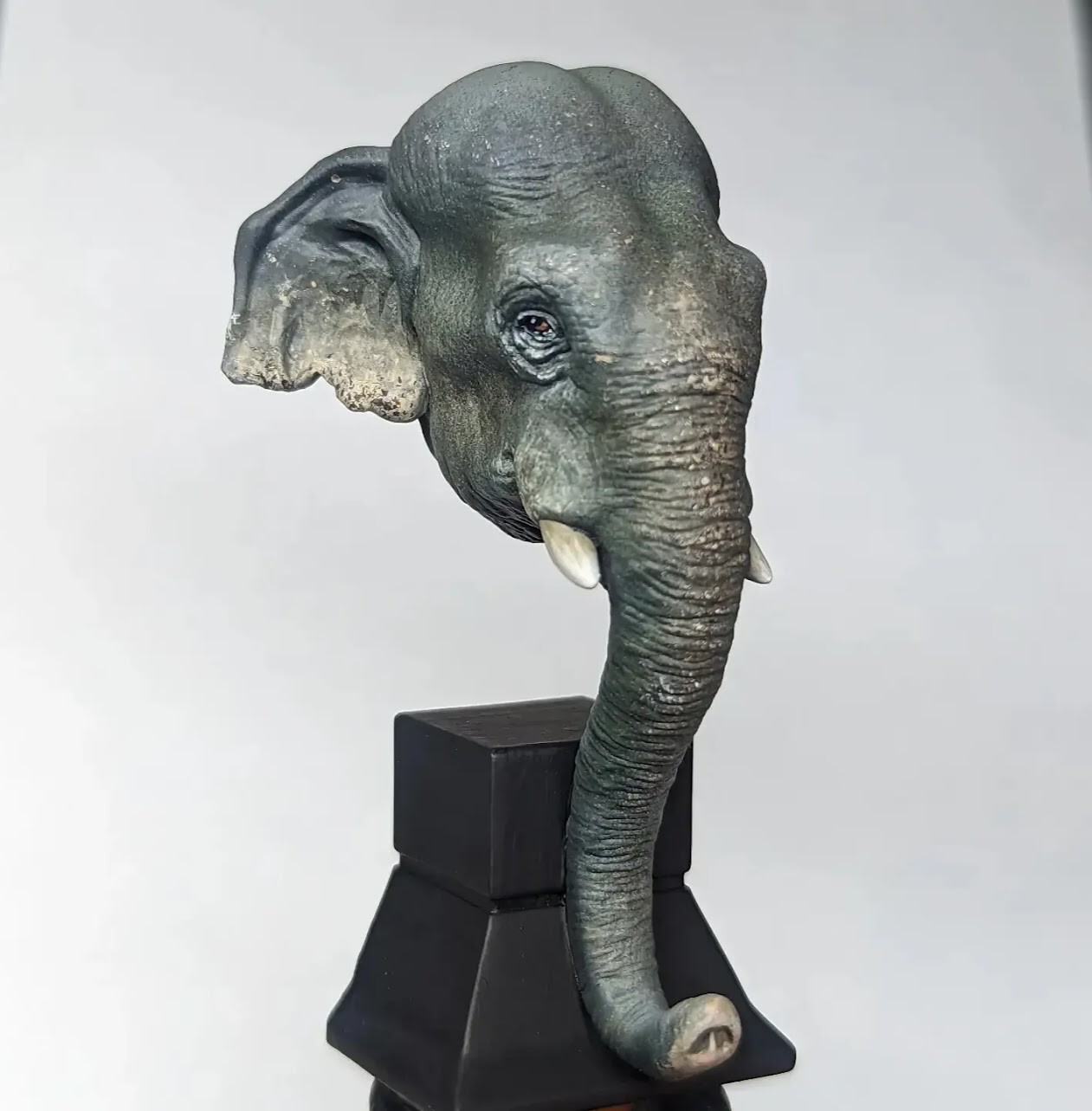 ArtStation - elephant bust