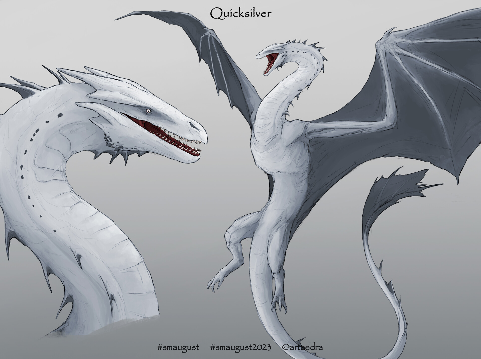 Diego Pérez / Artaedra - SMAUGUST 2023 RECAP