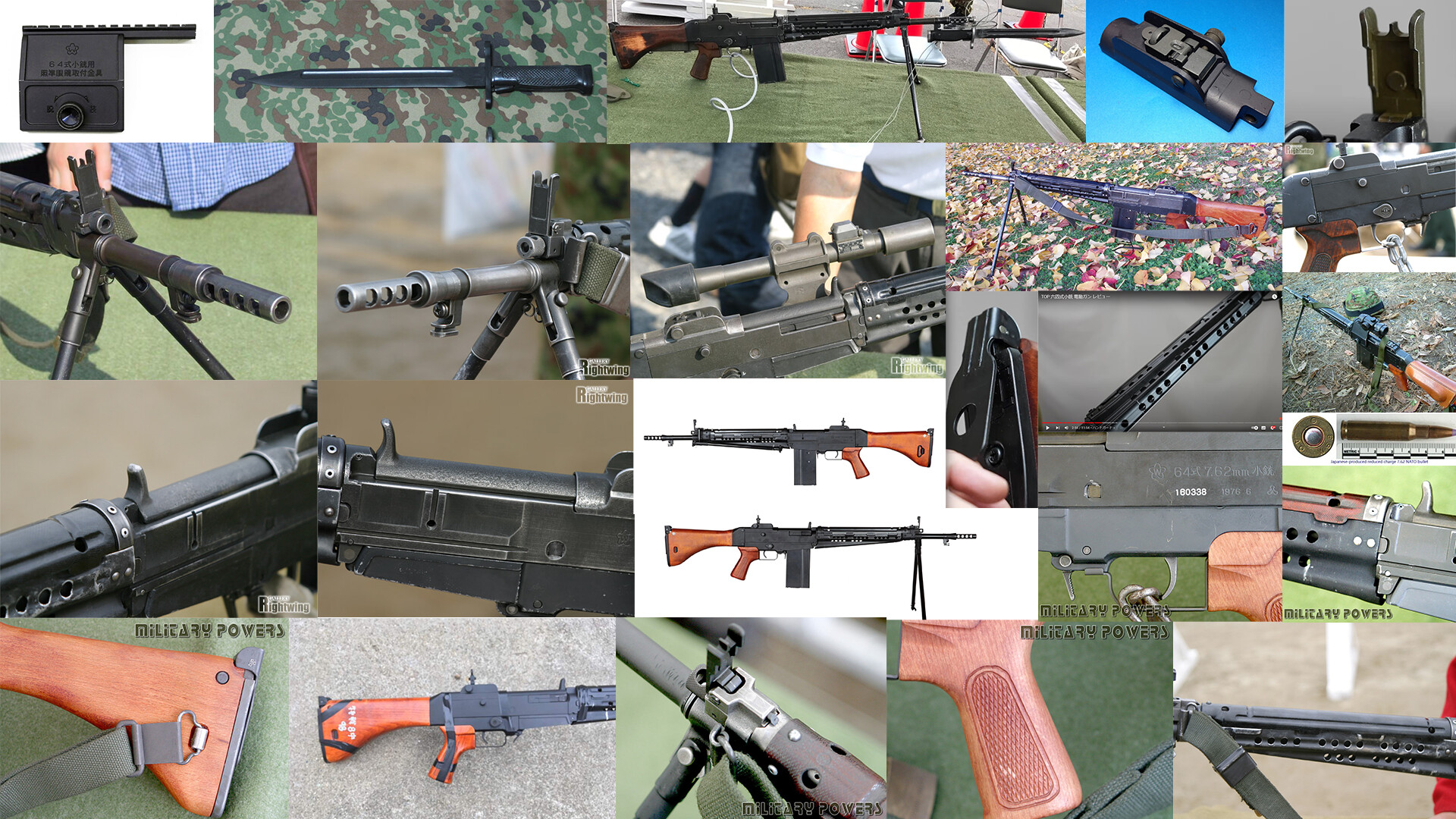 Hao Liu - Howa Type 64 - JSDF Battle Rifle