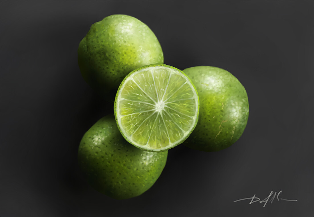 Den Jay - Realistic Lime Illustration