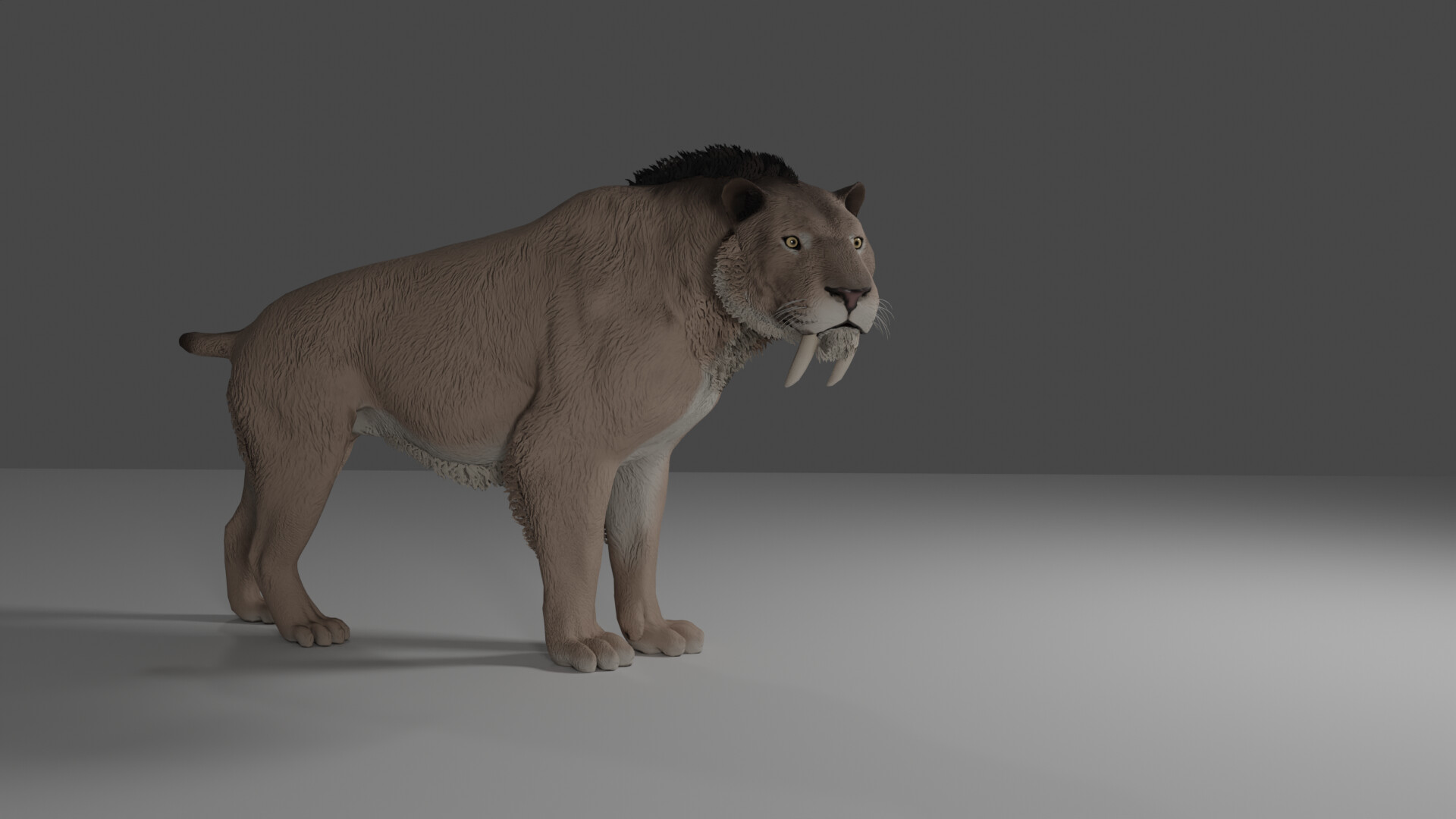 ArtStation - Smilodon