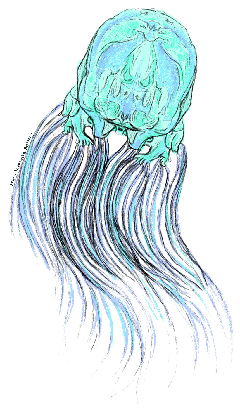 ArtStation - CUBOZOA