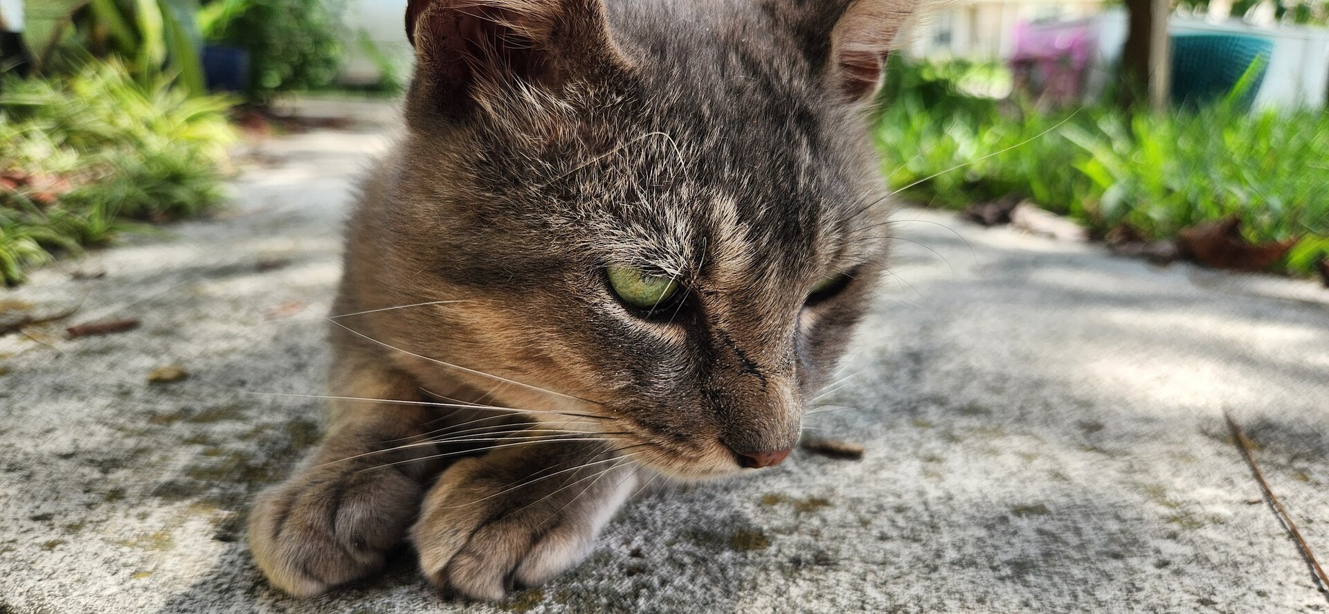 ArtStation - Smokey's Drama shots