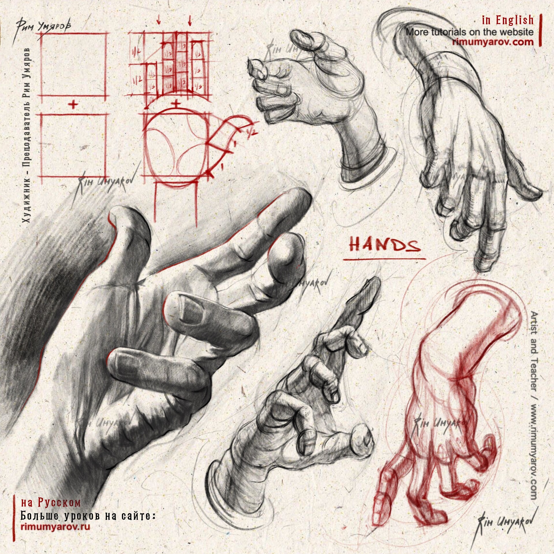 ArtStation - Online school of Analytical drawing / Rim Umyarov