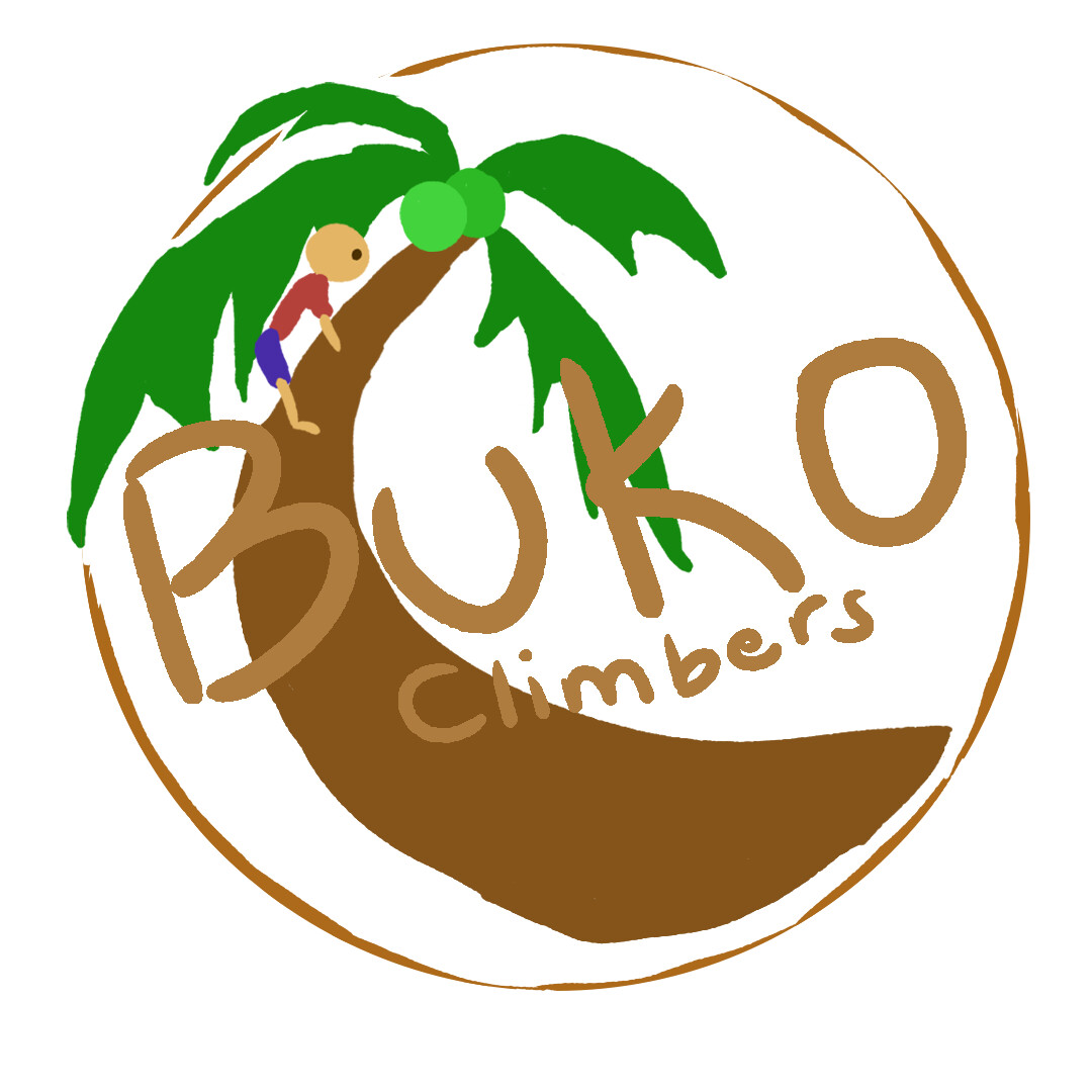 ArtStation - IEPRJ Buko Climbers Logo