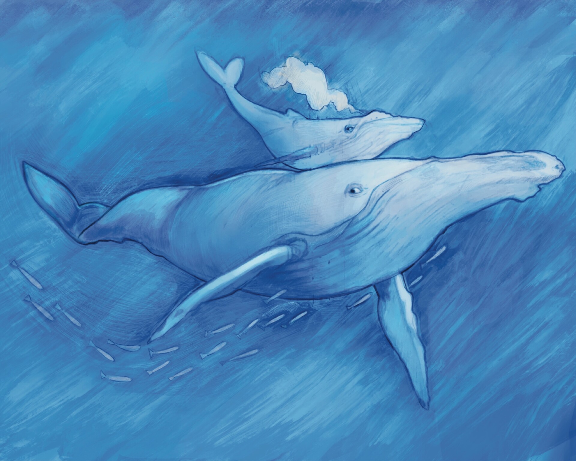 ArtStation - Humpback Whale Wood Burning Print