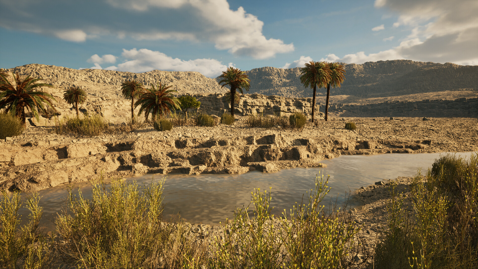 ArtStation - UE5 Oasis