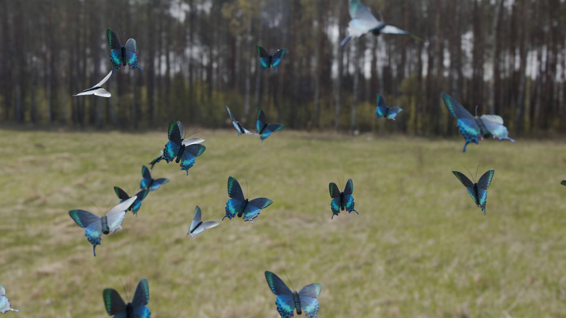 ArtStation - "Butterfly" - 60 Minute Modeling Event 2024/8/17