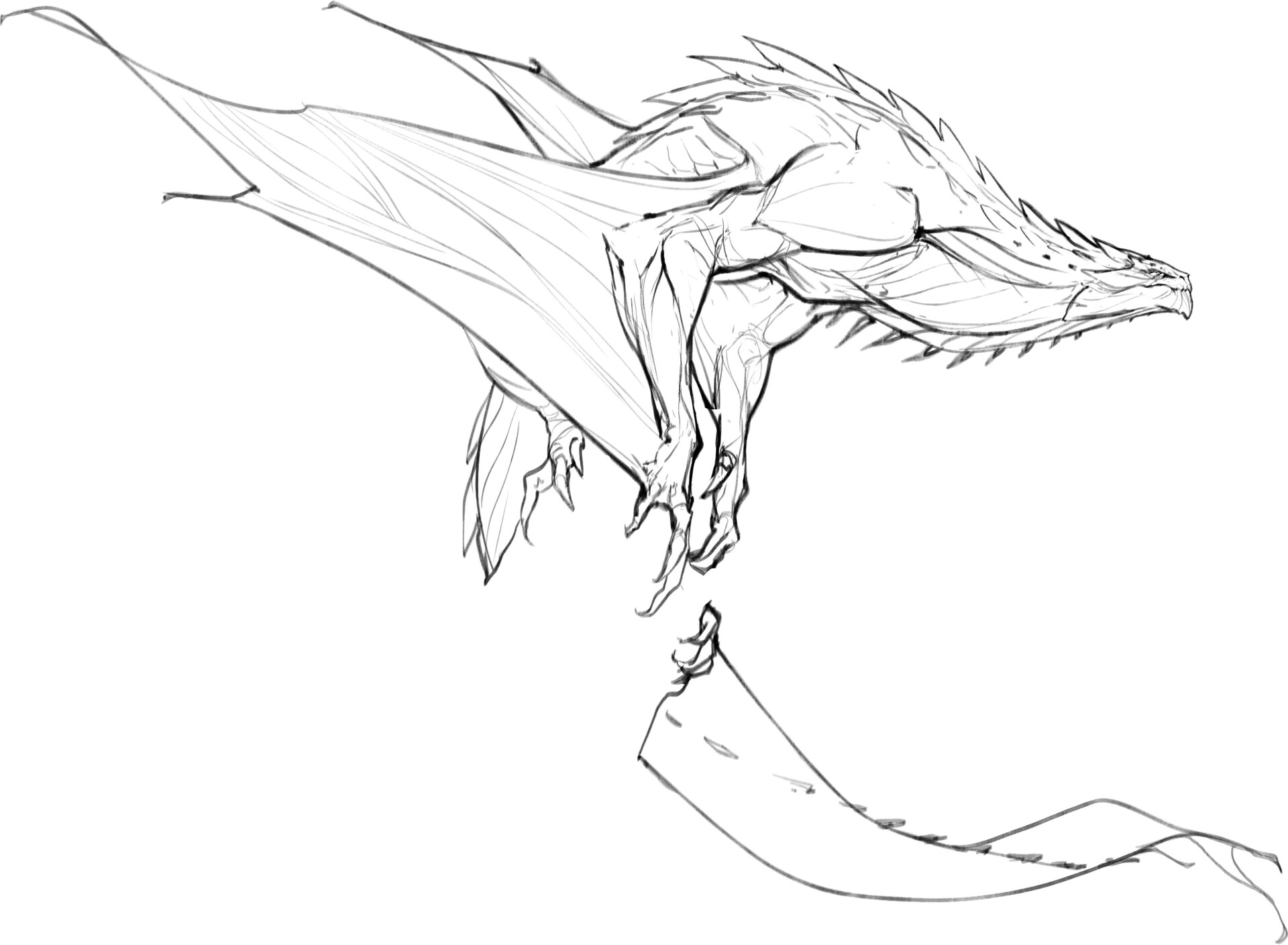 Hardy Fowler - Dragon Tutorial