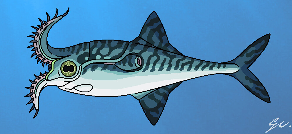 Antoine Grailet - 18-Scorpii-4 Fishes