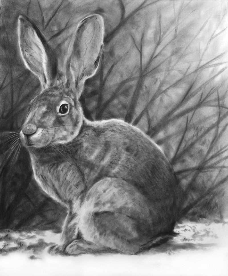 Randy Arrington - Portfolio