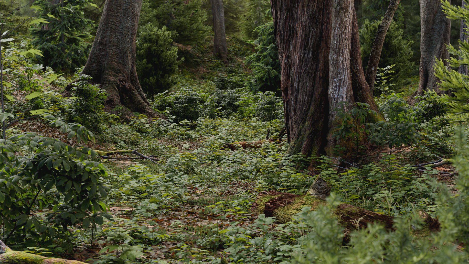 ArtStation - Forest