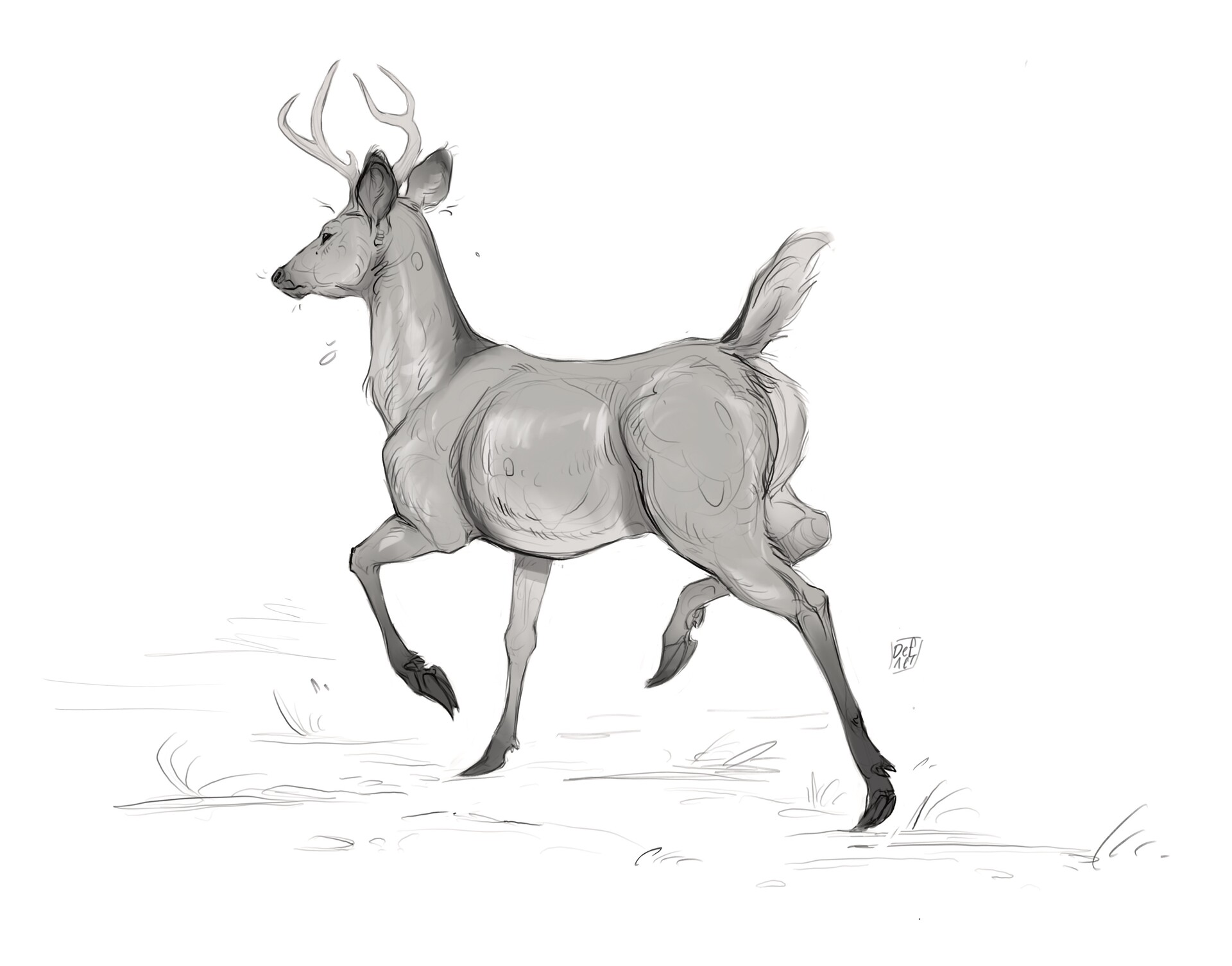 ArtStation - Deer