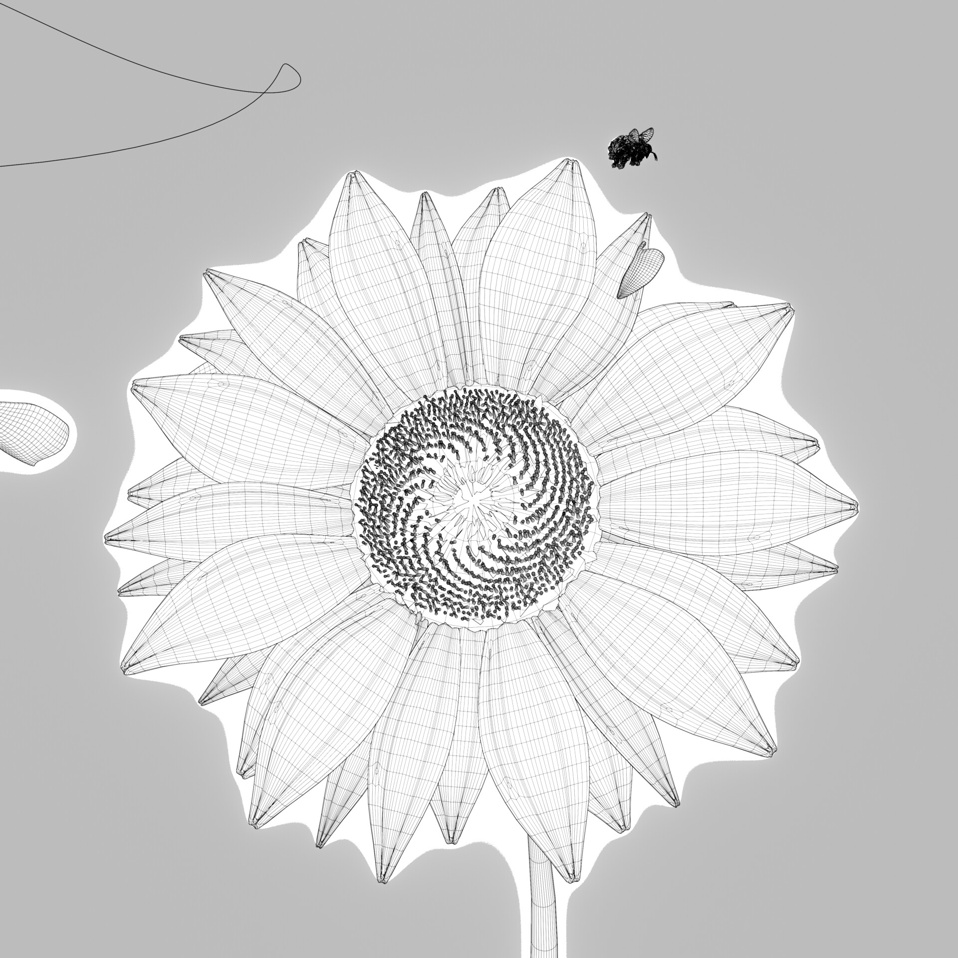 Didjelirium - Chilling Sunflowers