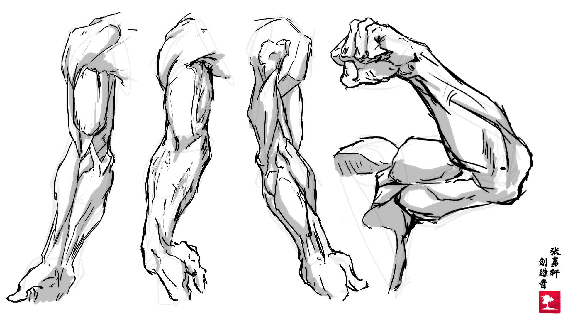 ArtStation - Arm studies