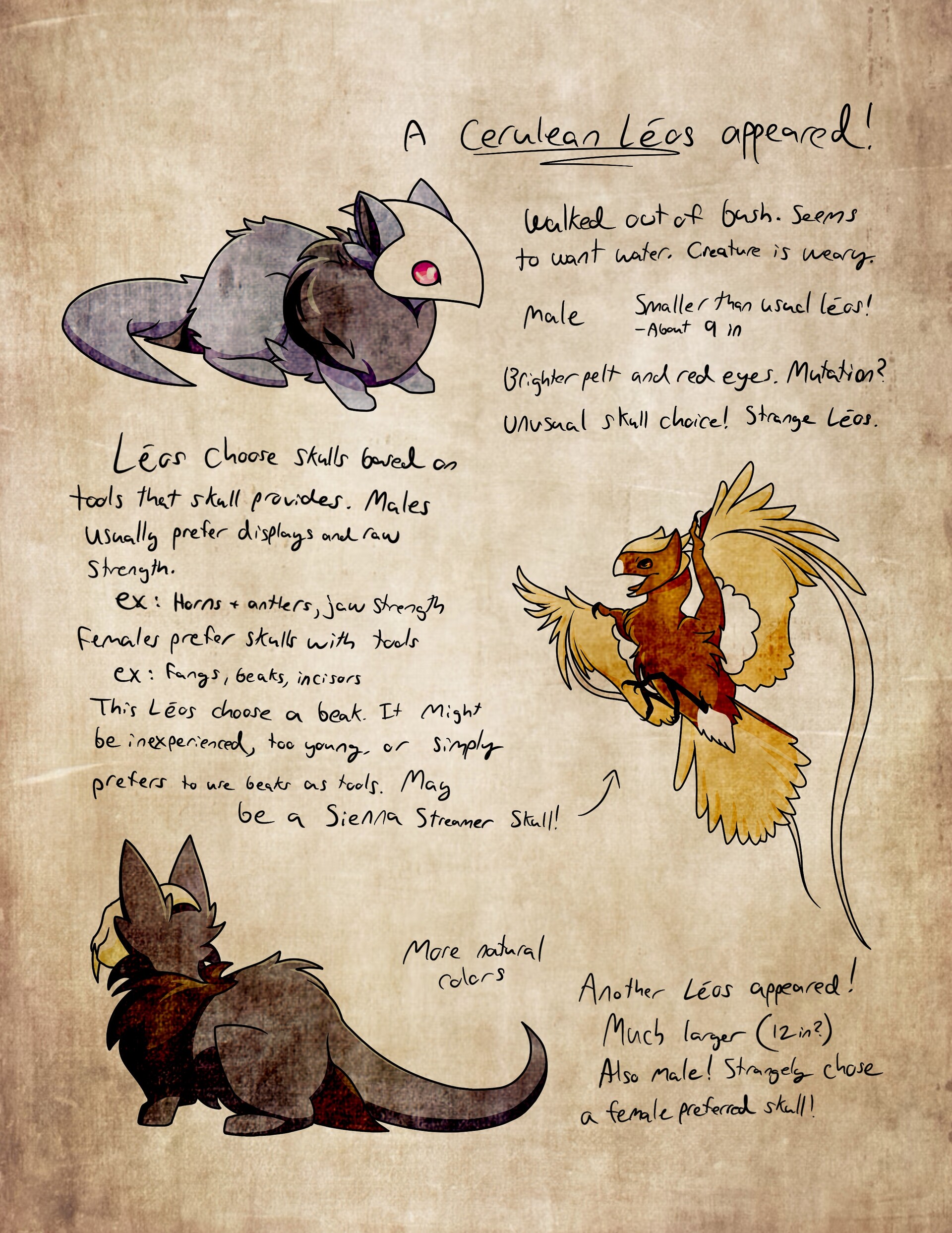 Victoria Franchini - Journal Entry 6