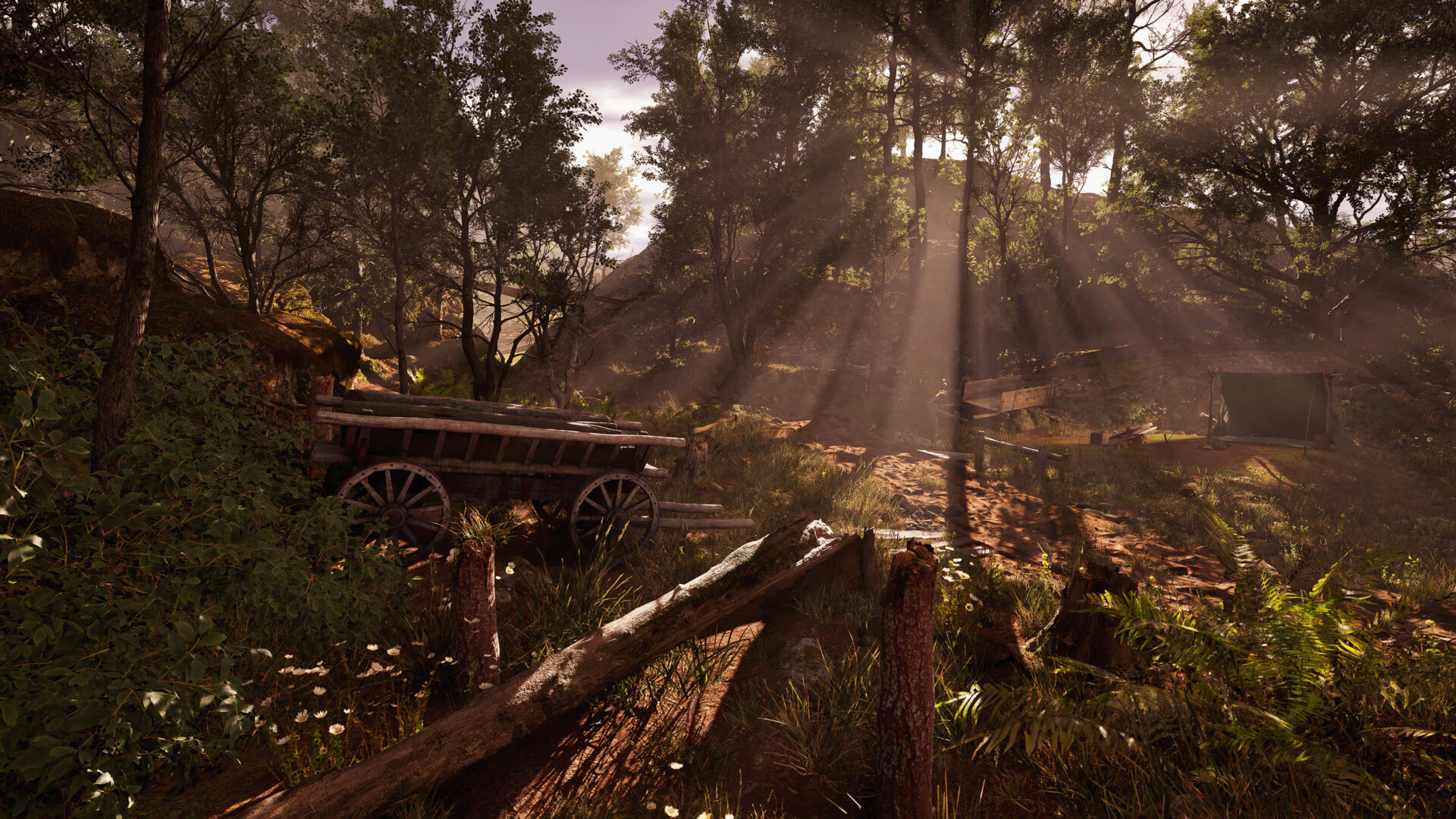 Alex Lorente - Forest Path