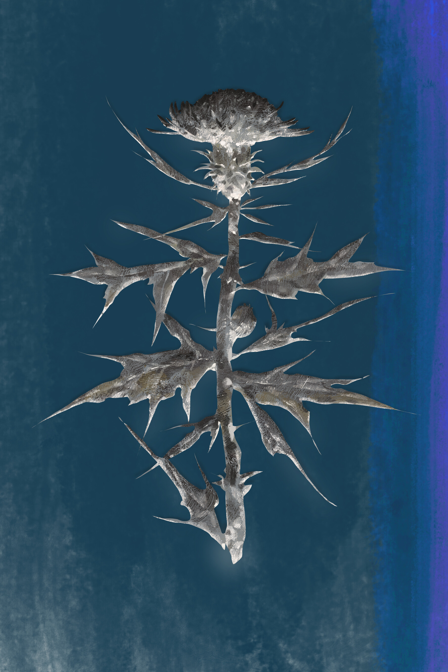 Lin Sun - Wind of Thorn