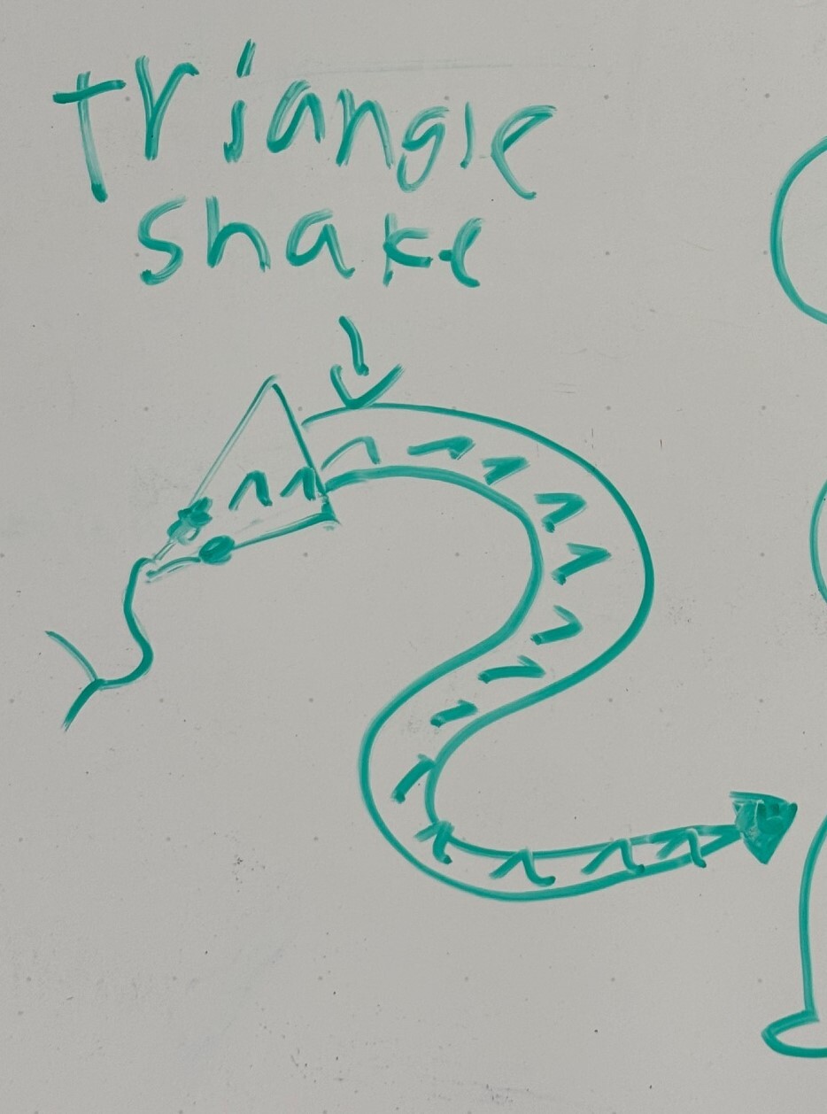 Nathan FitzGerald - Triangle Snake