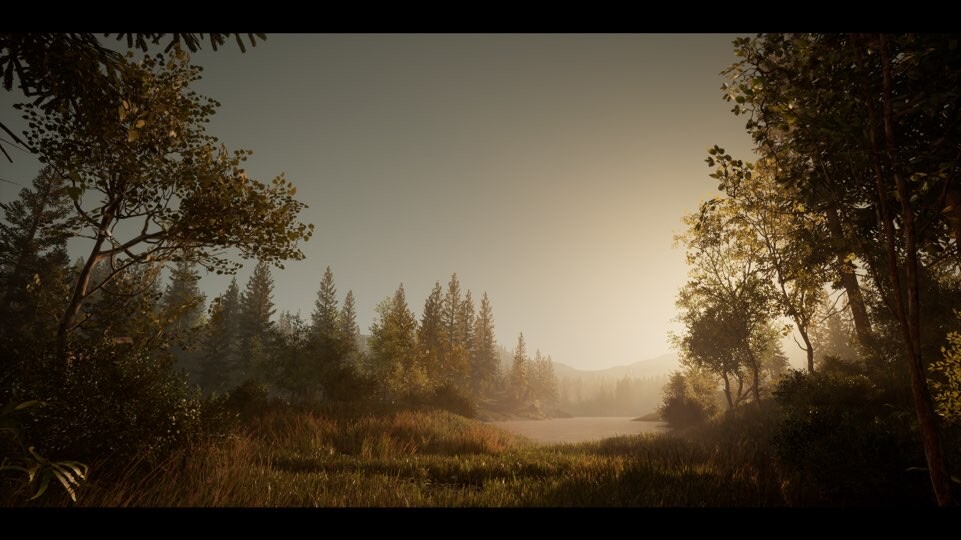ArtStation - Sunset forest