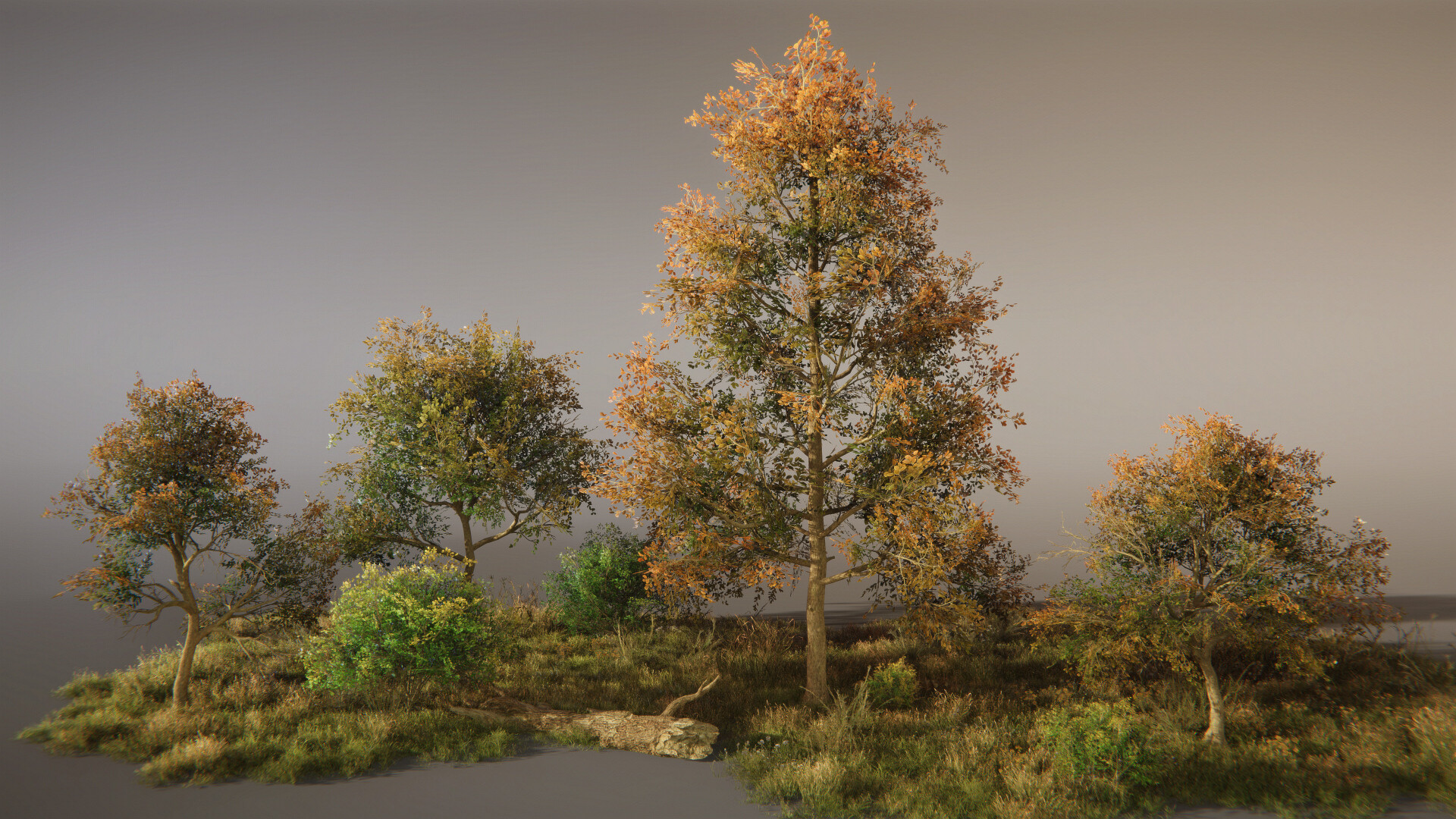 ArtStation - Vegetation Pack Trees - Toby Foliage Engine Assets