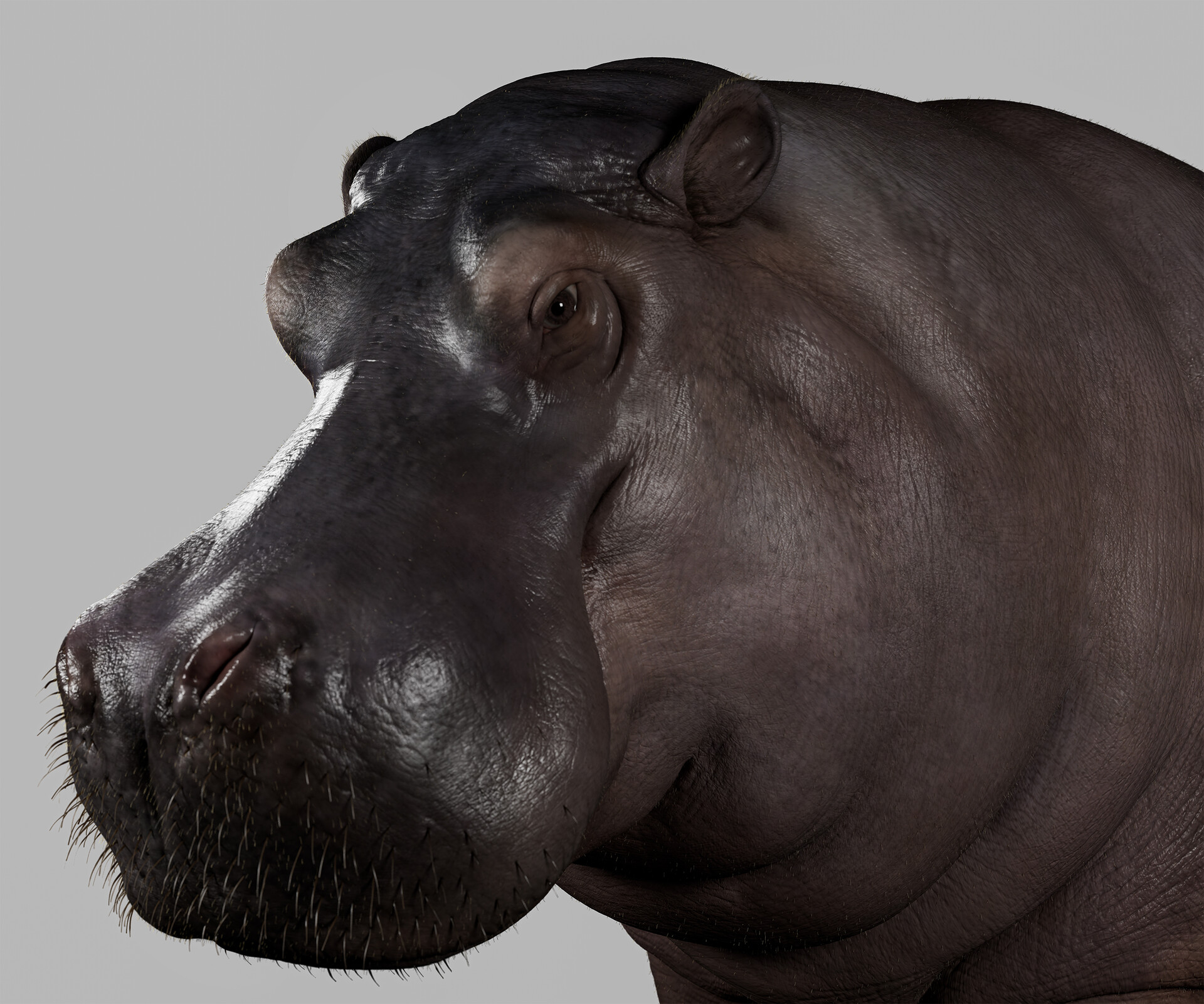 ArtStation - 河马hippo