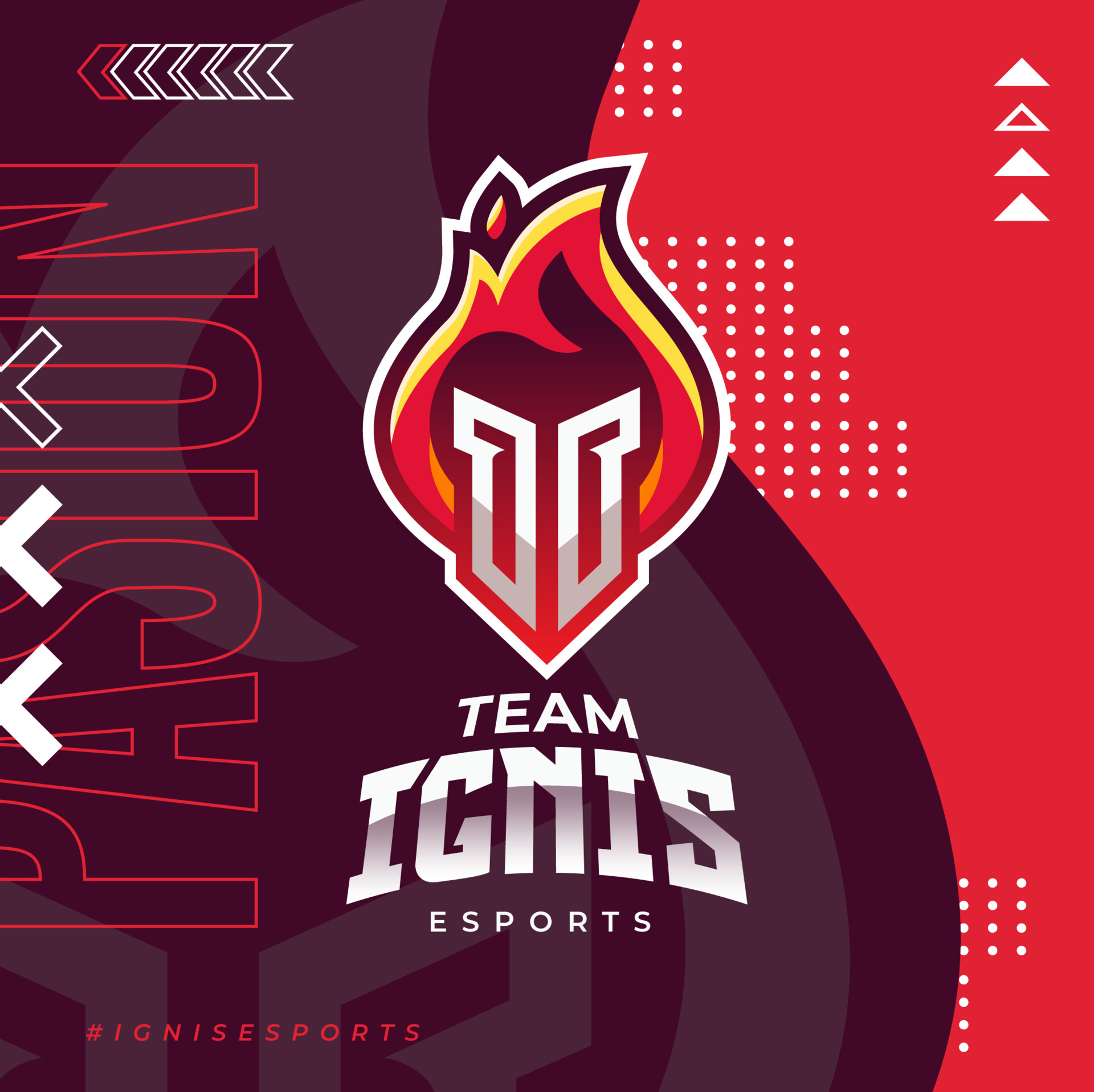 ArtStation - TEAM IGNIS E-SPORT