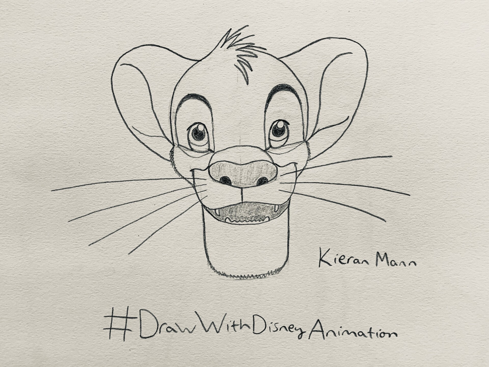 how to draw disney lion king