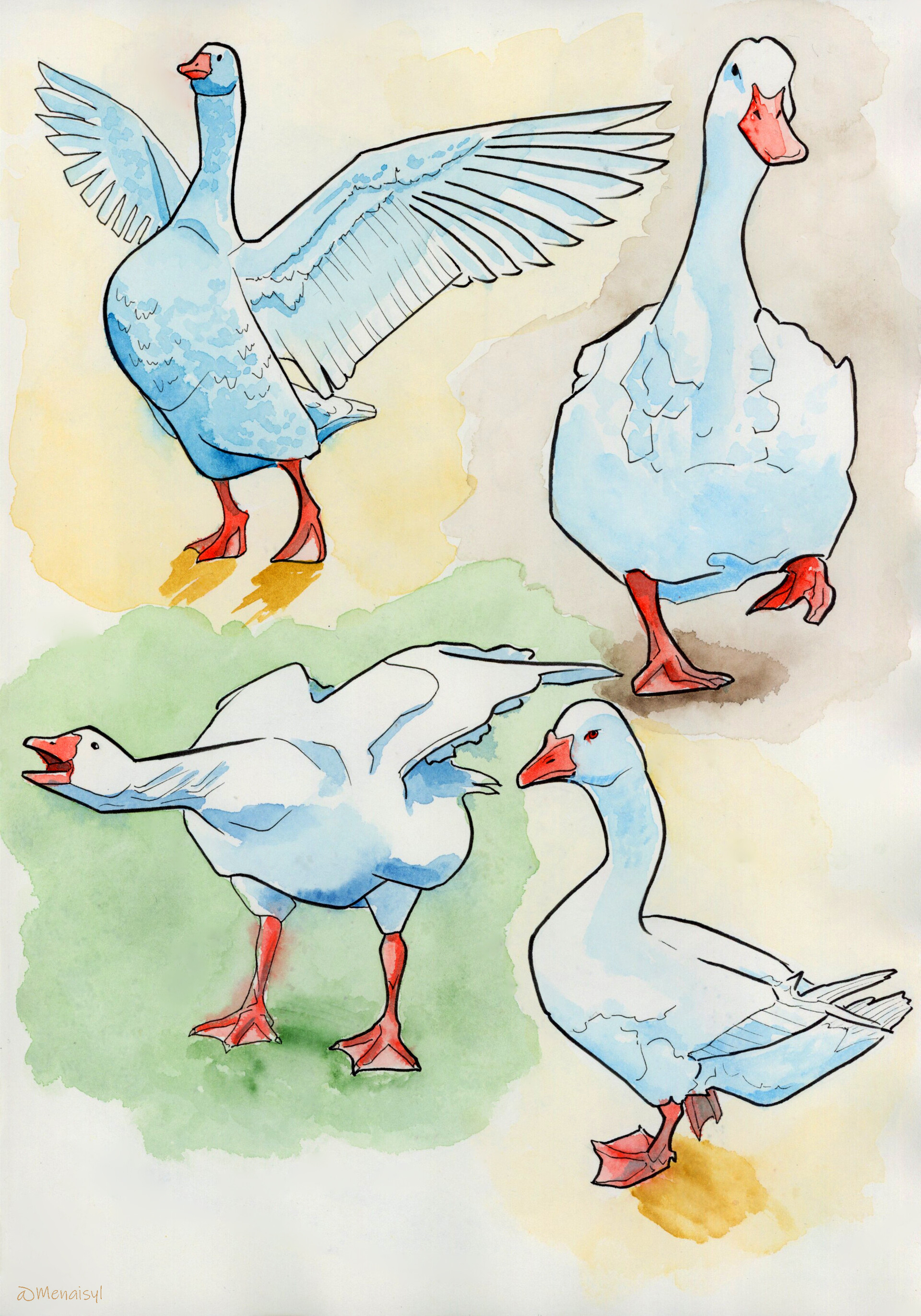 ArtStation - Ducks [Inktober52 22]