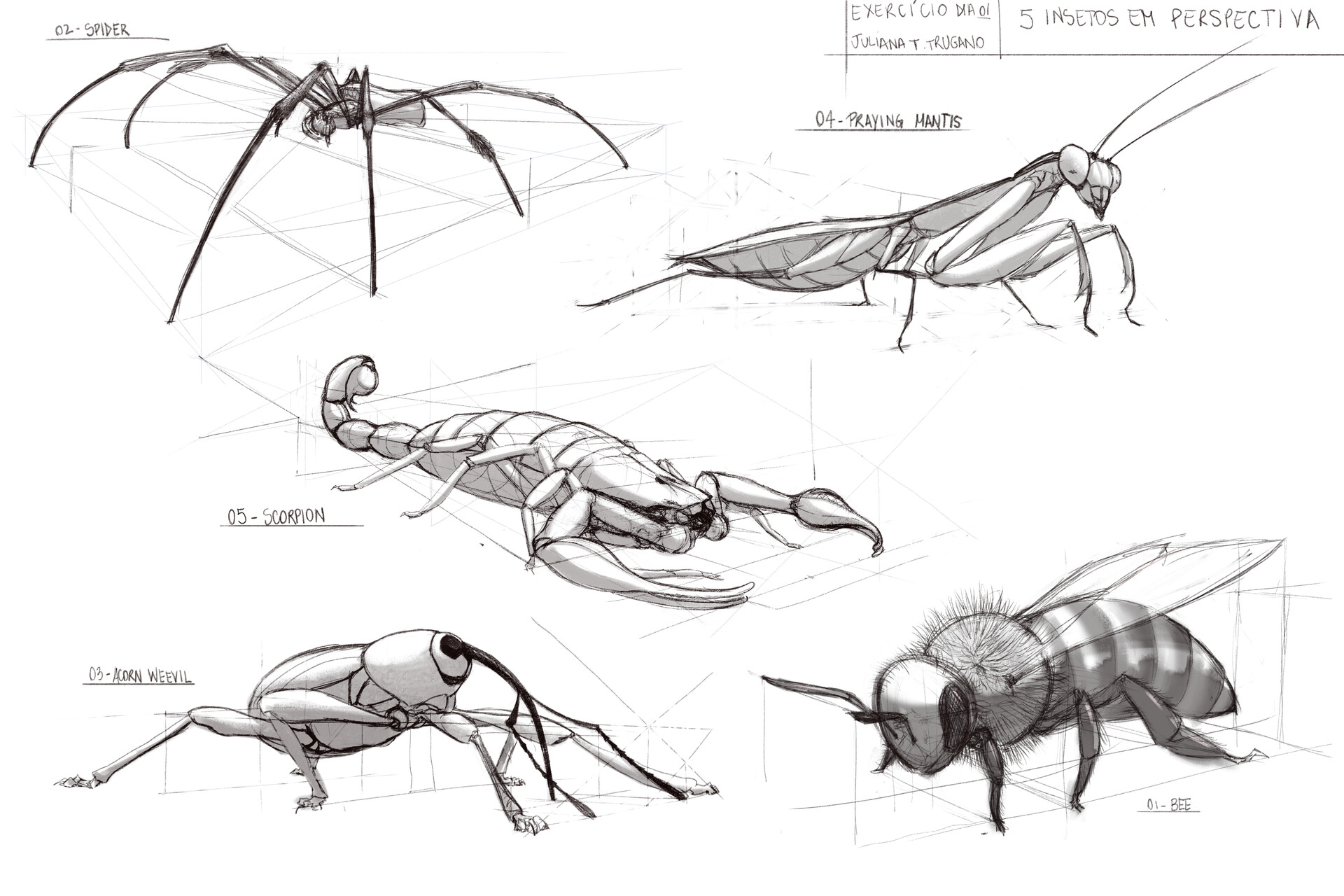 ArtStation - Bugs