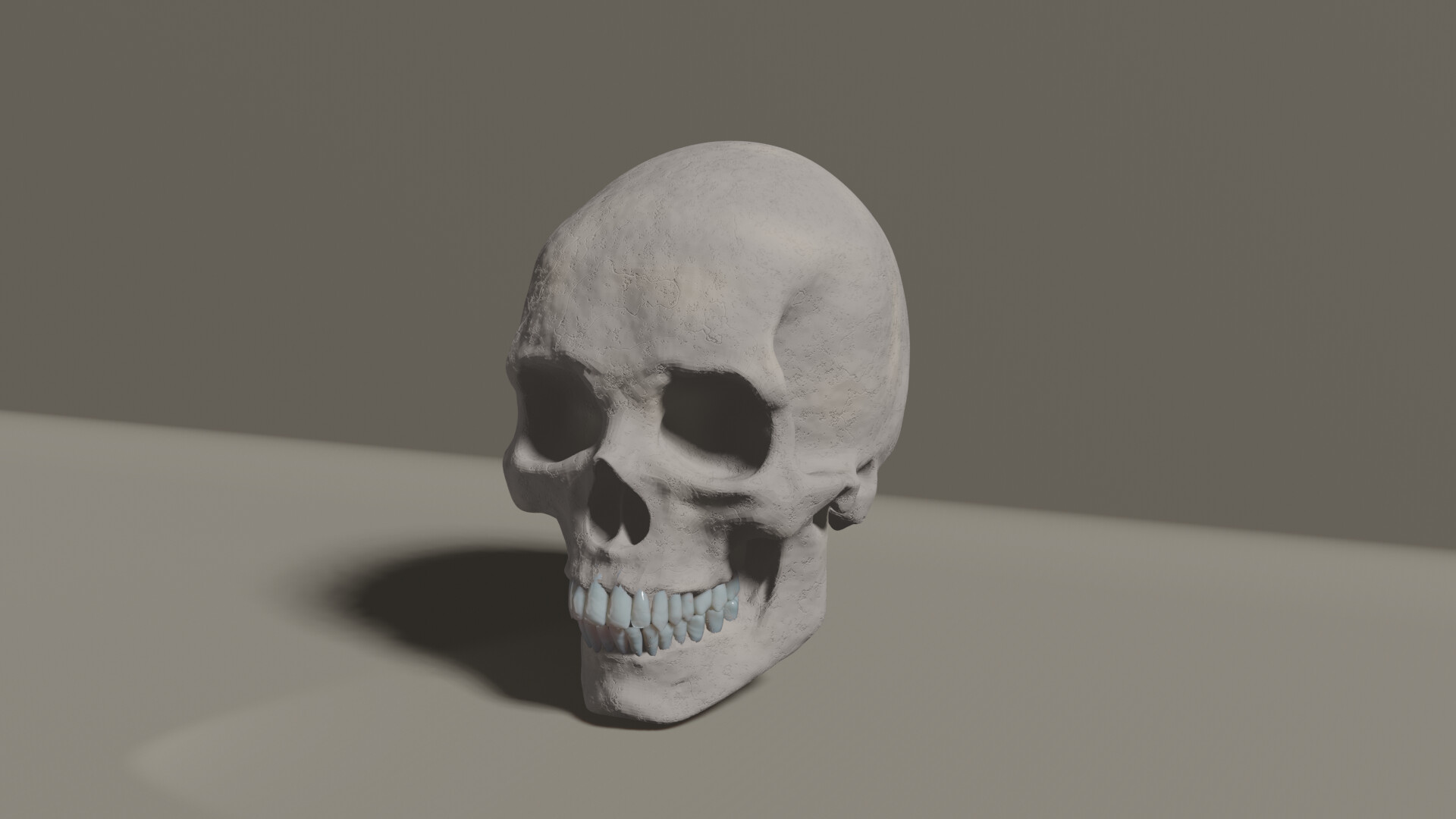 ArtStation - Human Skull Study