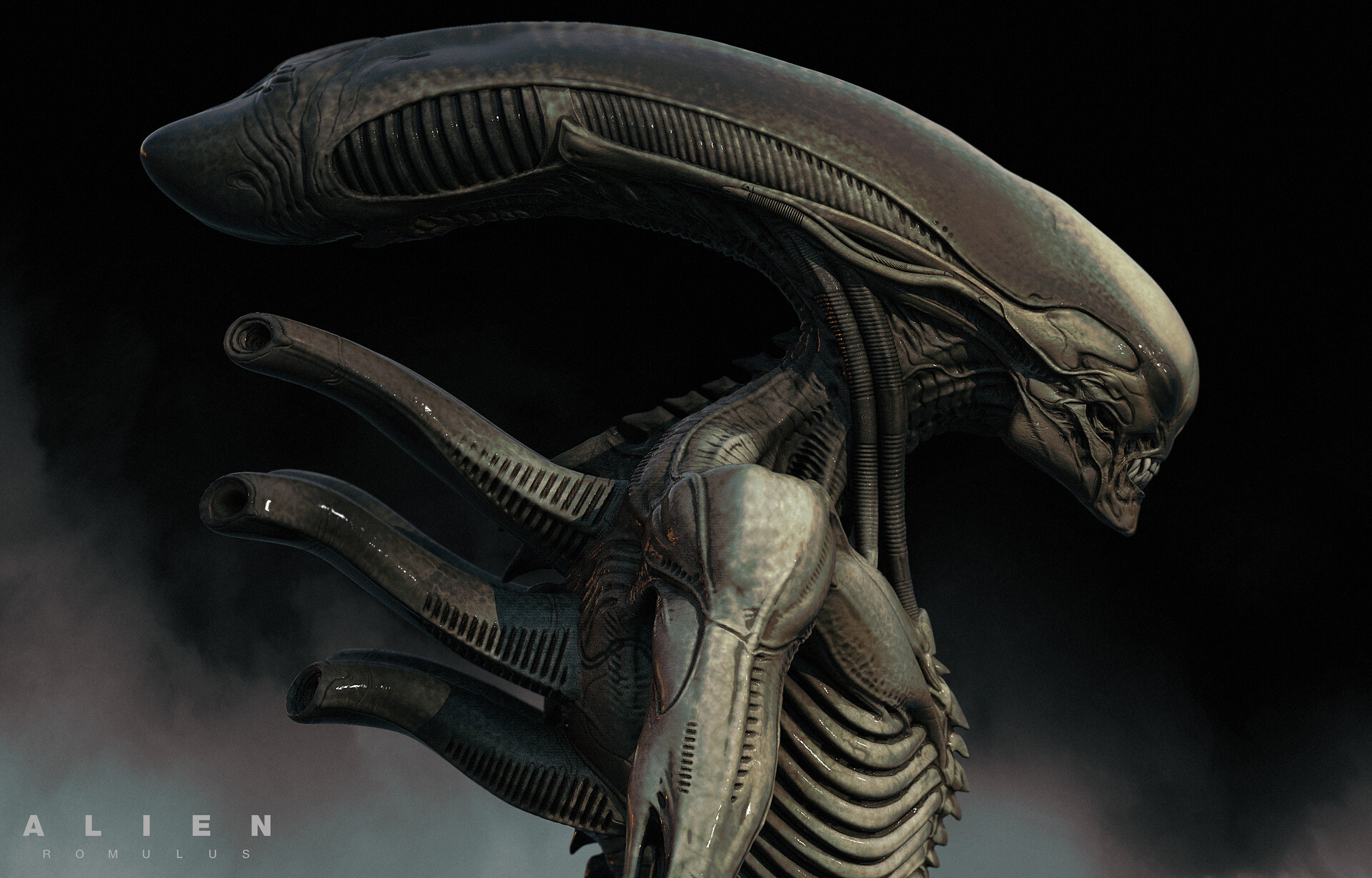 ArtStation - ROMULUS Xenomorph Concept