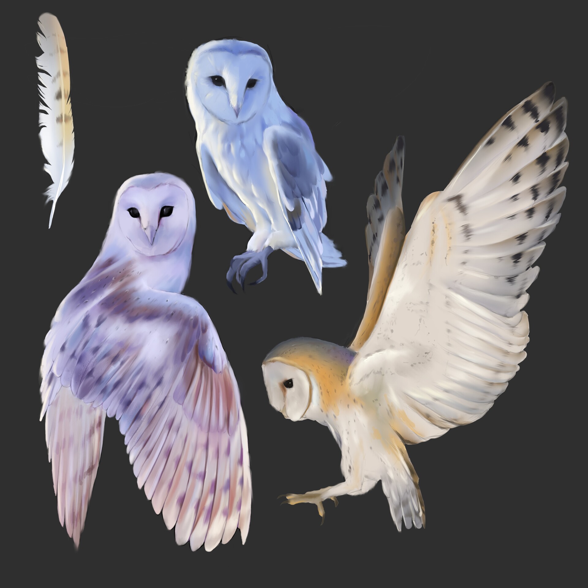 ArtStation - Owl
