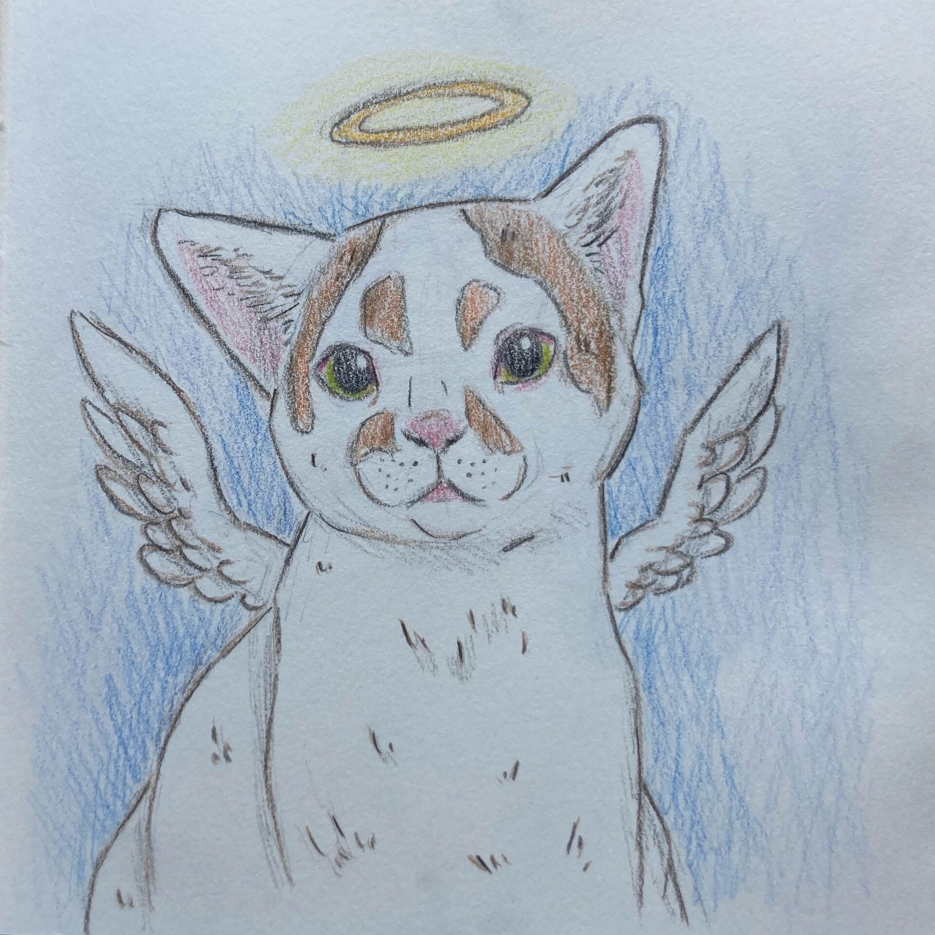 ArtStation - Angel Henry