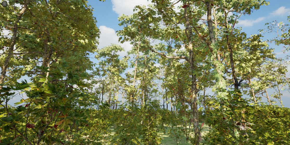 ArtStation - Tree, treees and more treeees