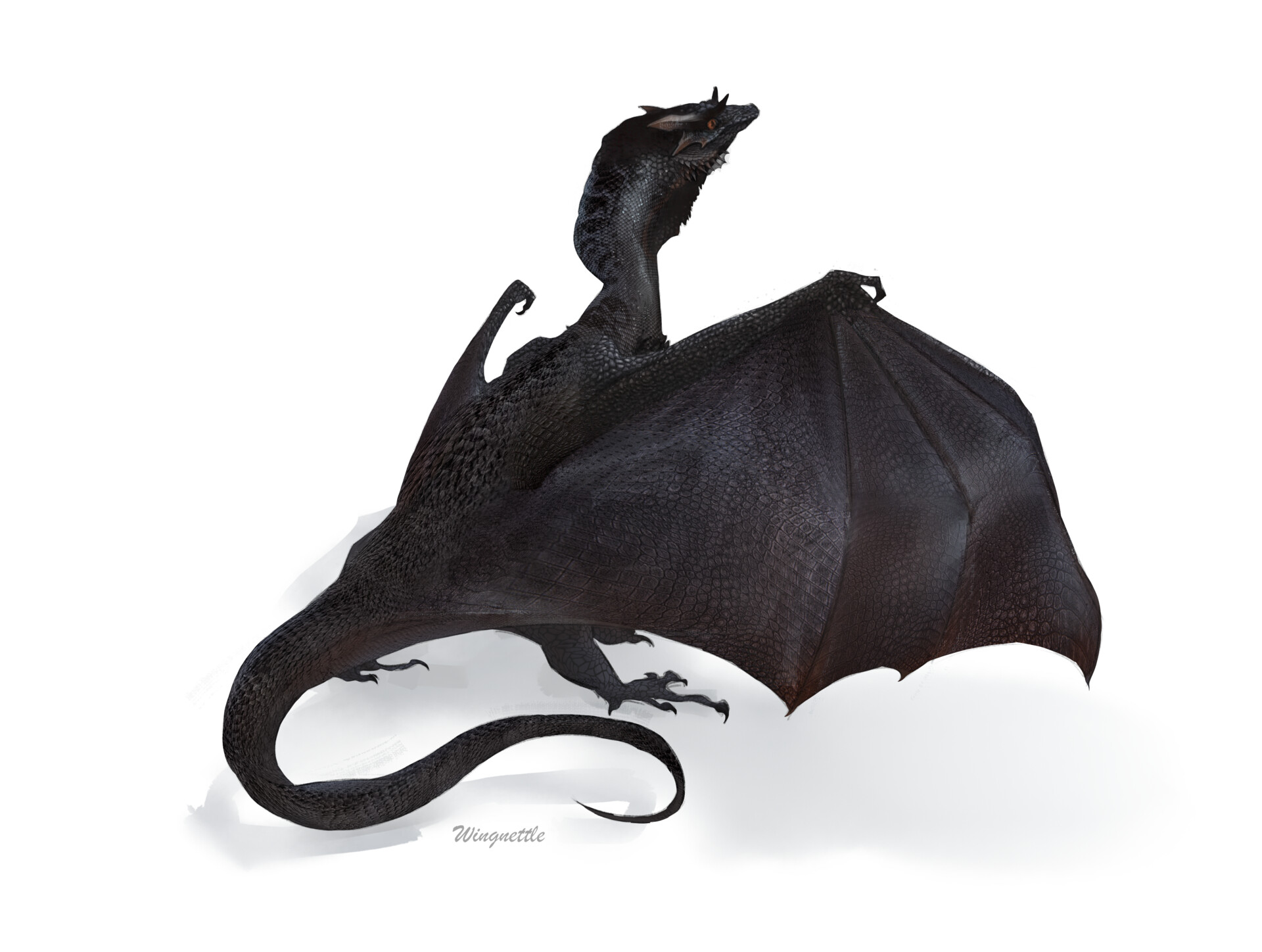 ArtStation - Monitor Dragon