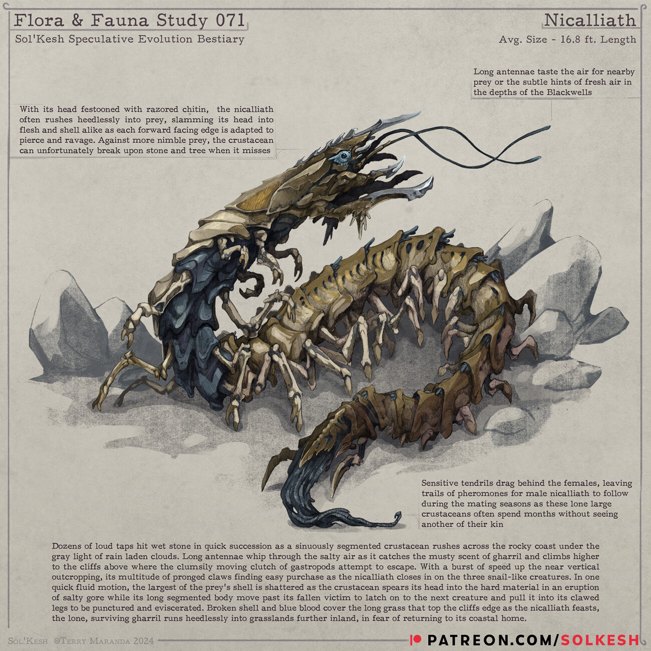 Terry Maranda - Creature Journal Nicalliath