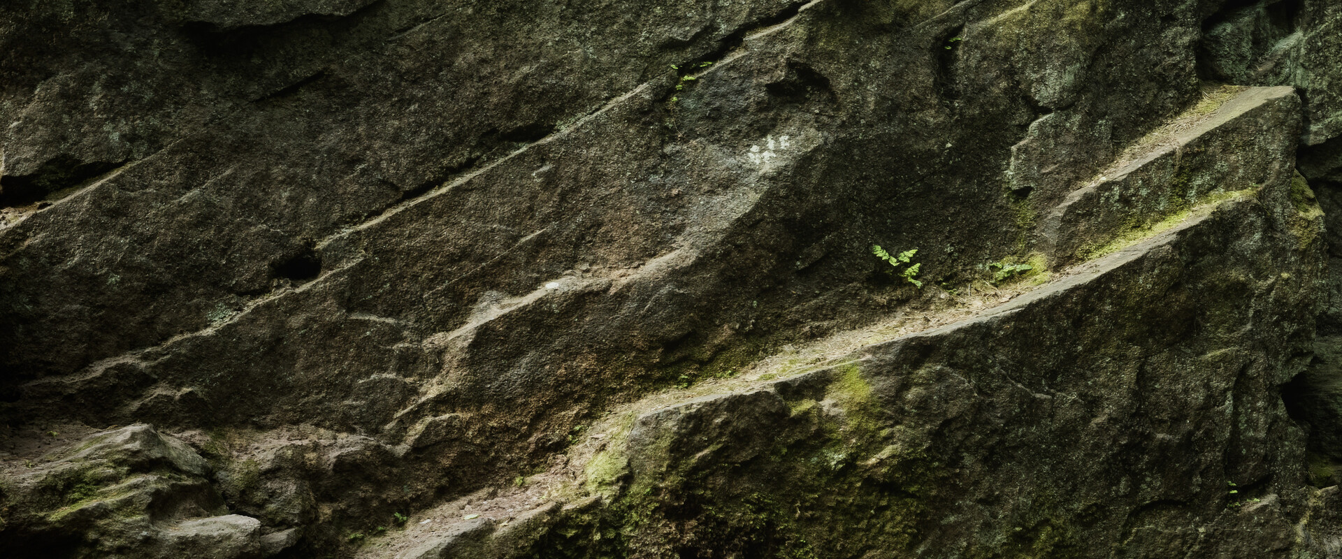 ArtStation - Sharp Rock Photogrammetry