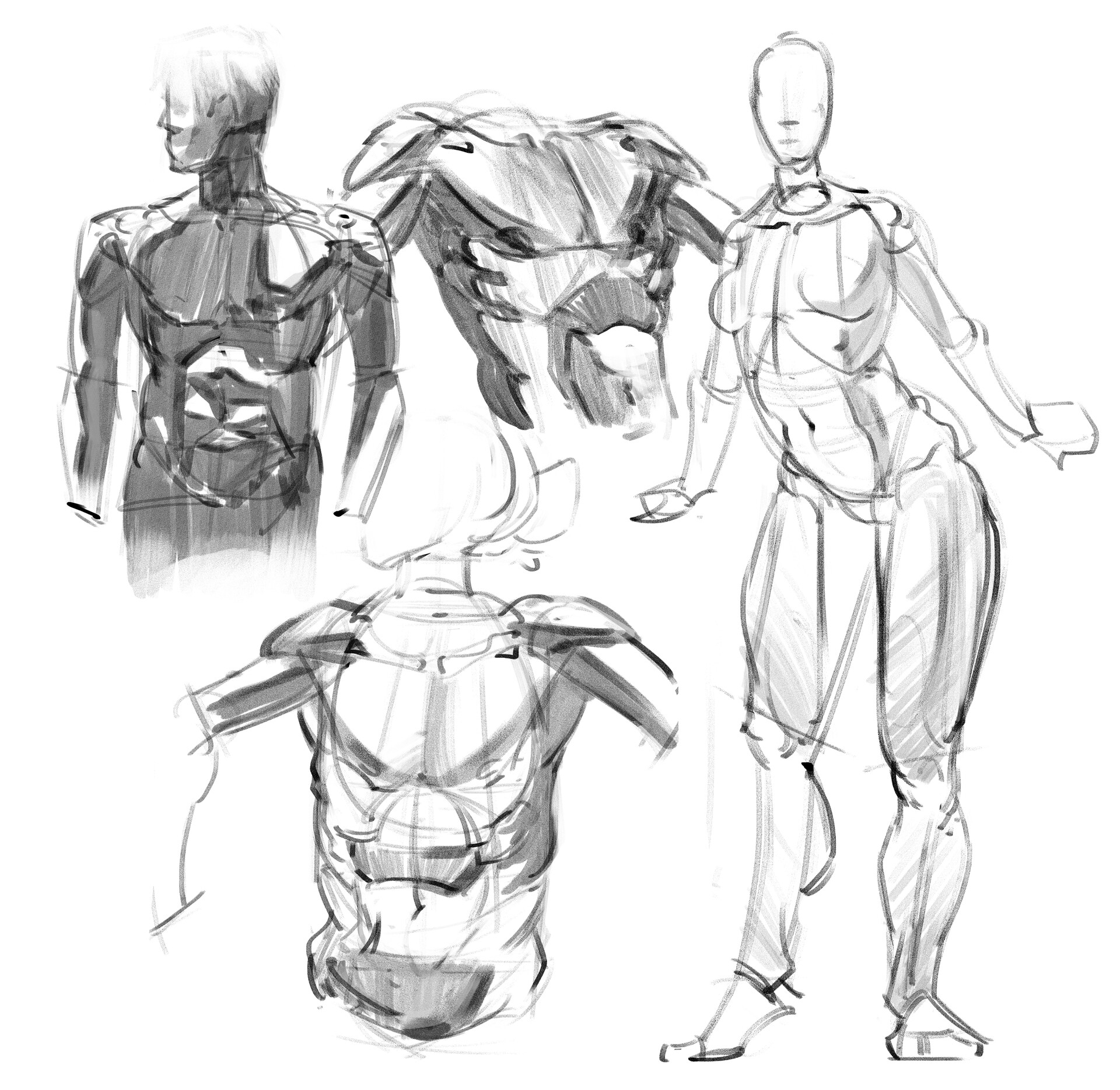 ArtStation - Studies