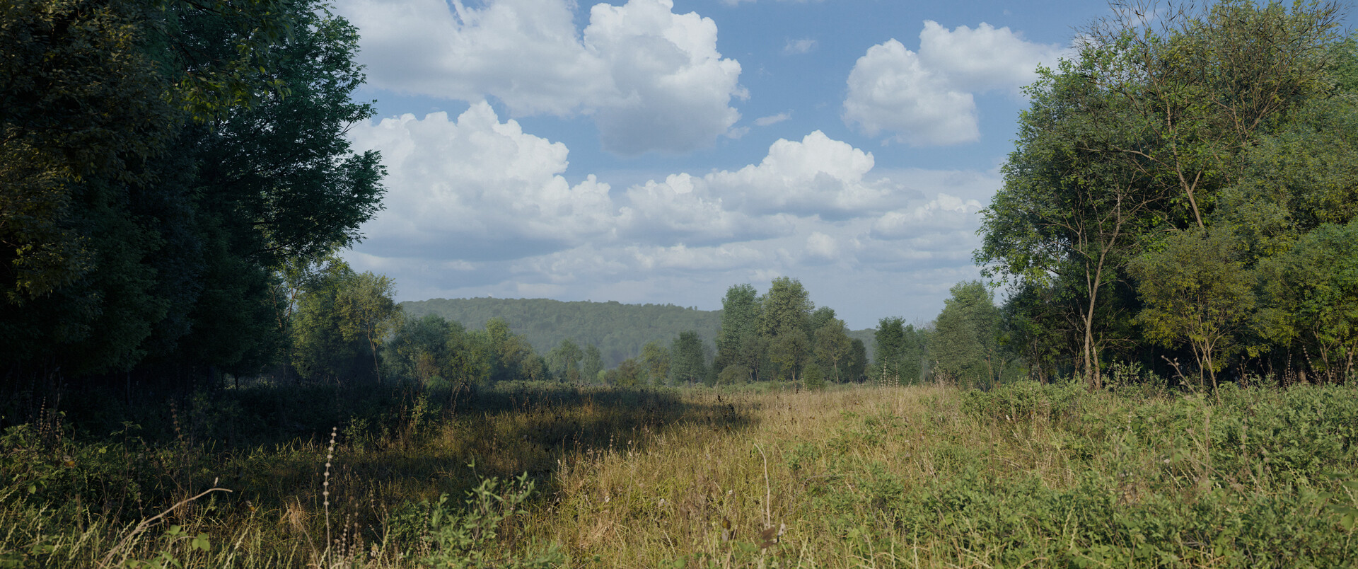 ArtStation - Grass Field