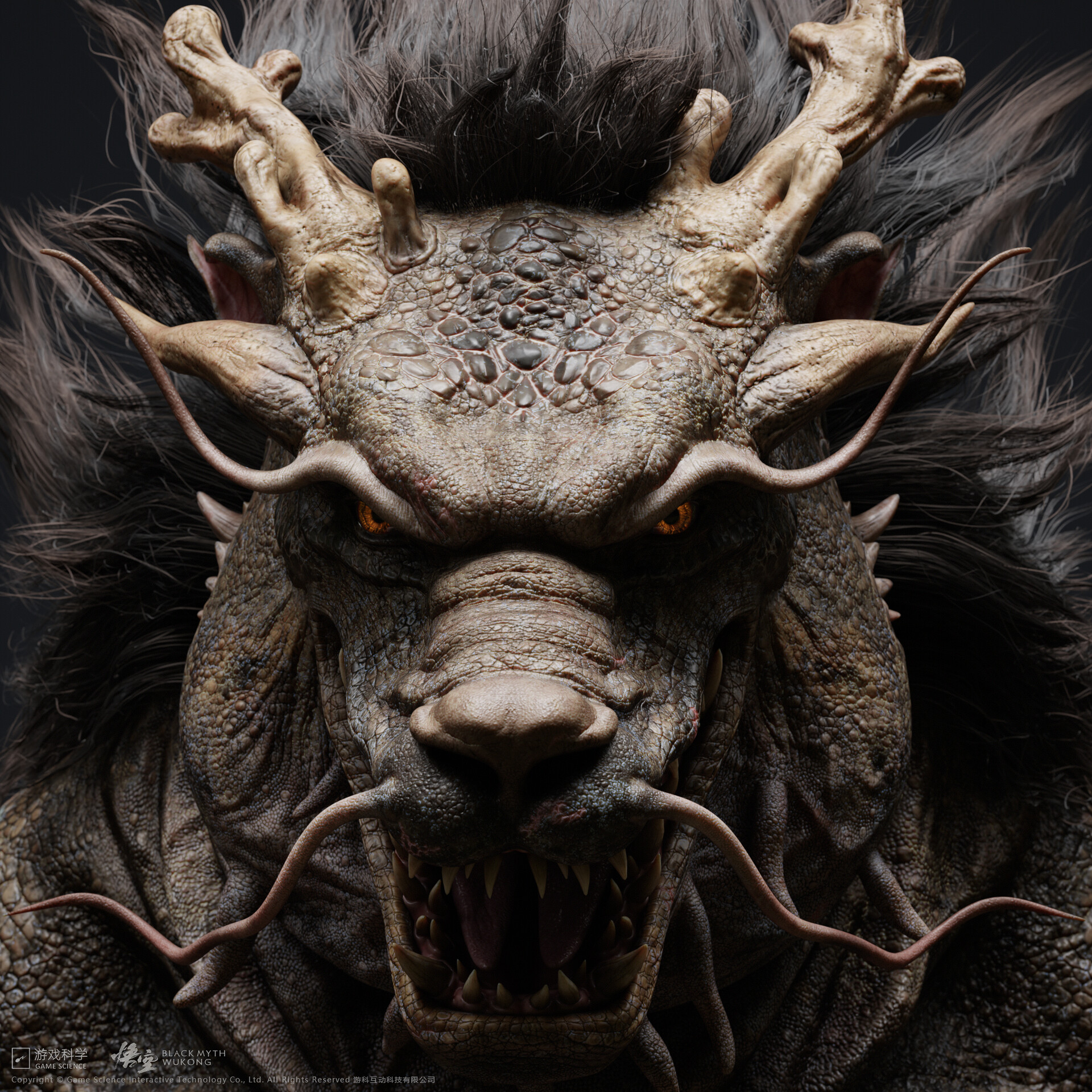 Gui Wenlong - 小郦龙