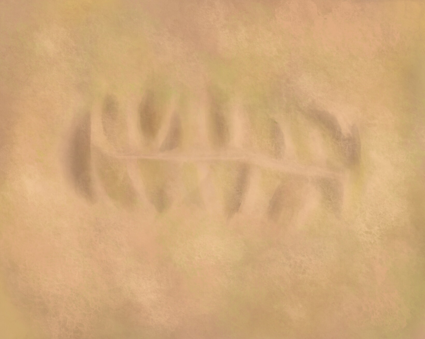 ArtStation - scarred