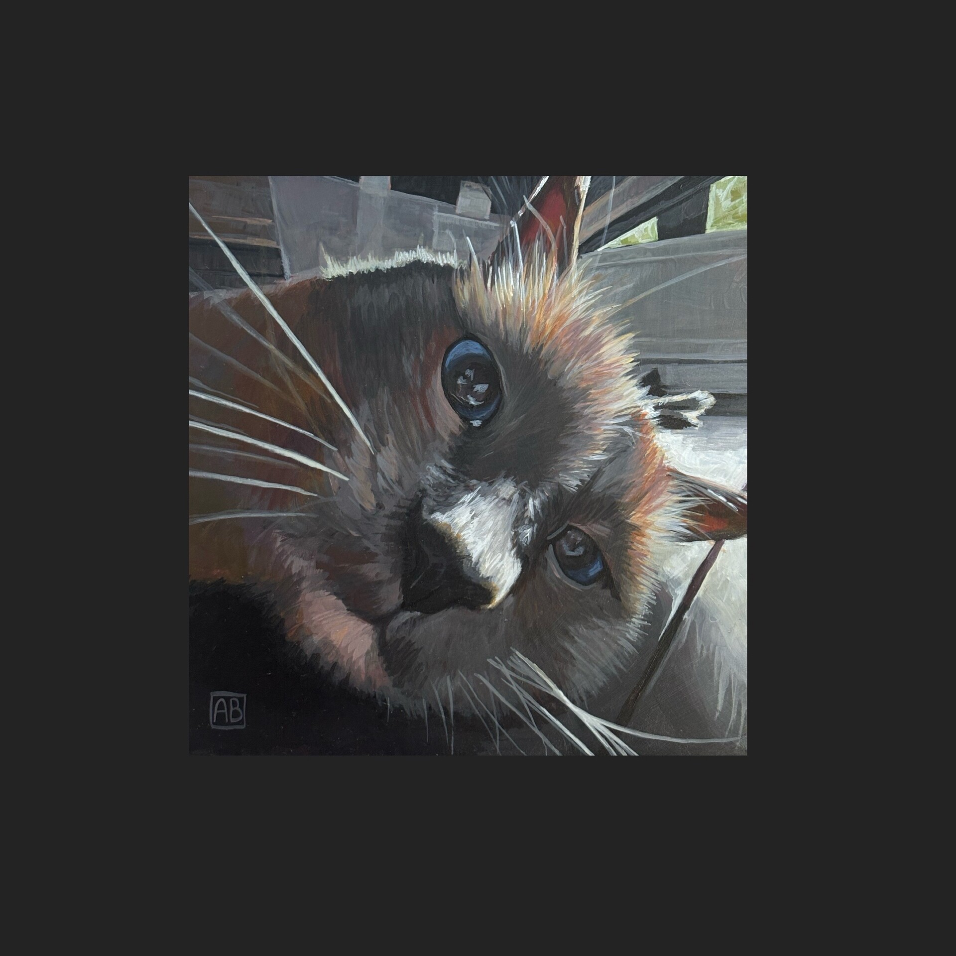 ArtStation - Cats in wide angles, Gus