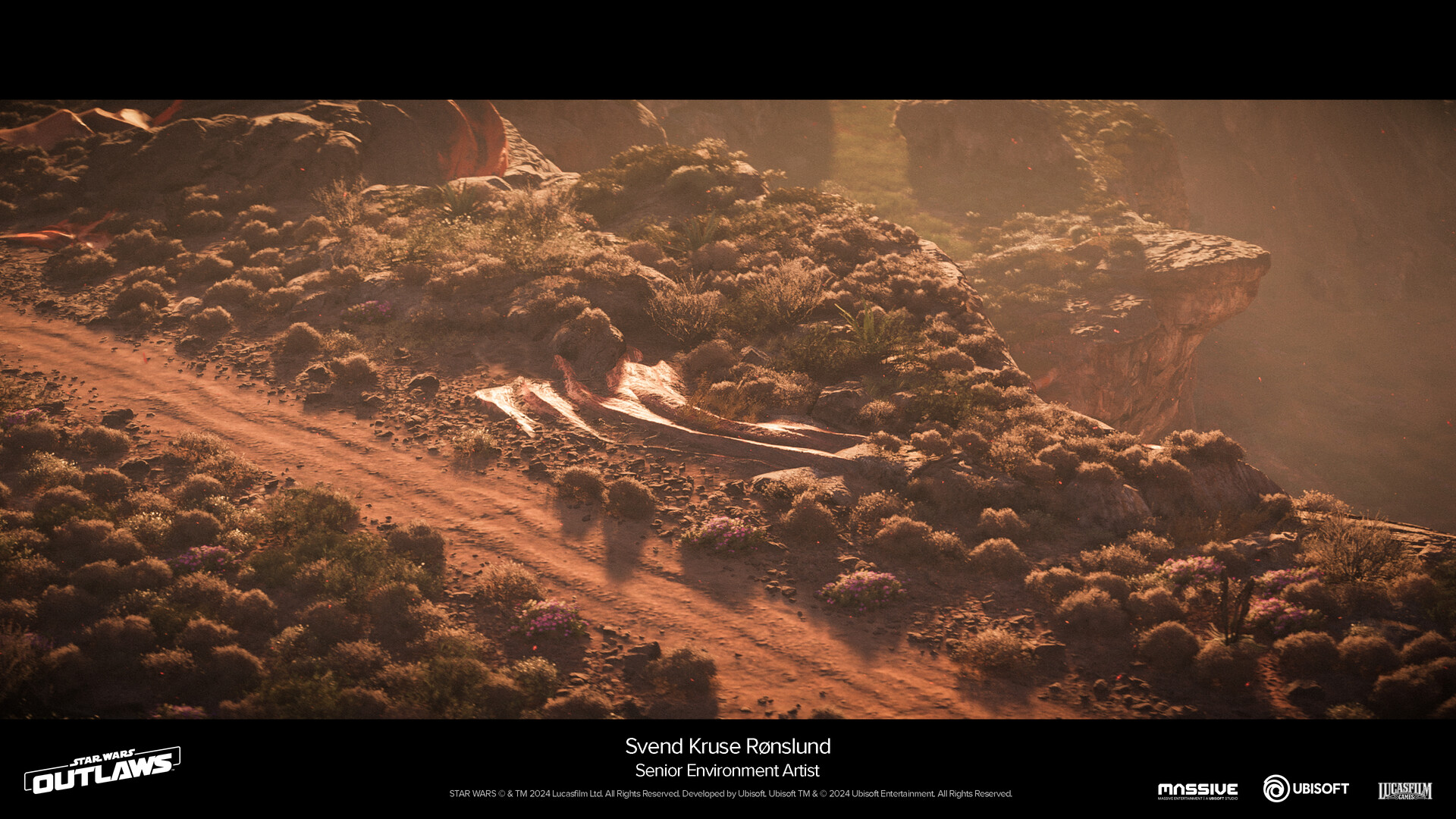 Svend Kruse Rønslund - TERRAIN AND BIOMES - Toshara Dry Biome - Star ...