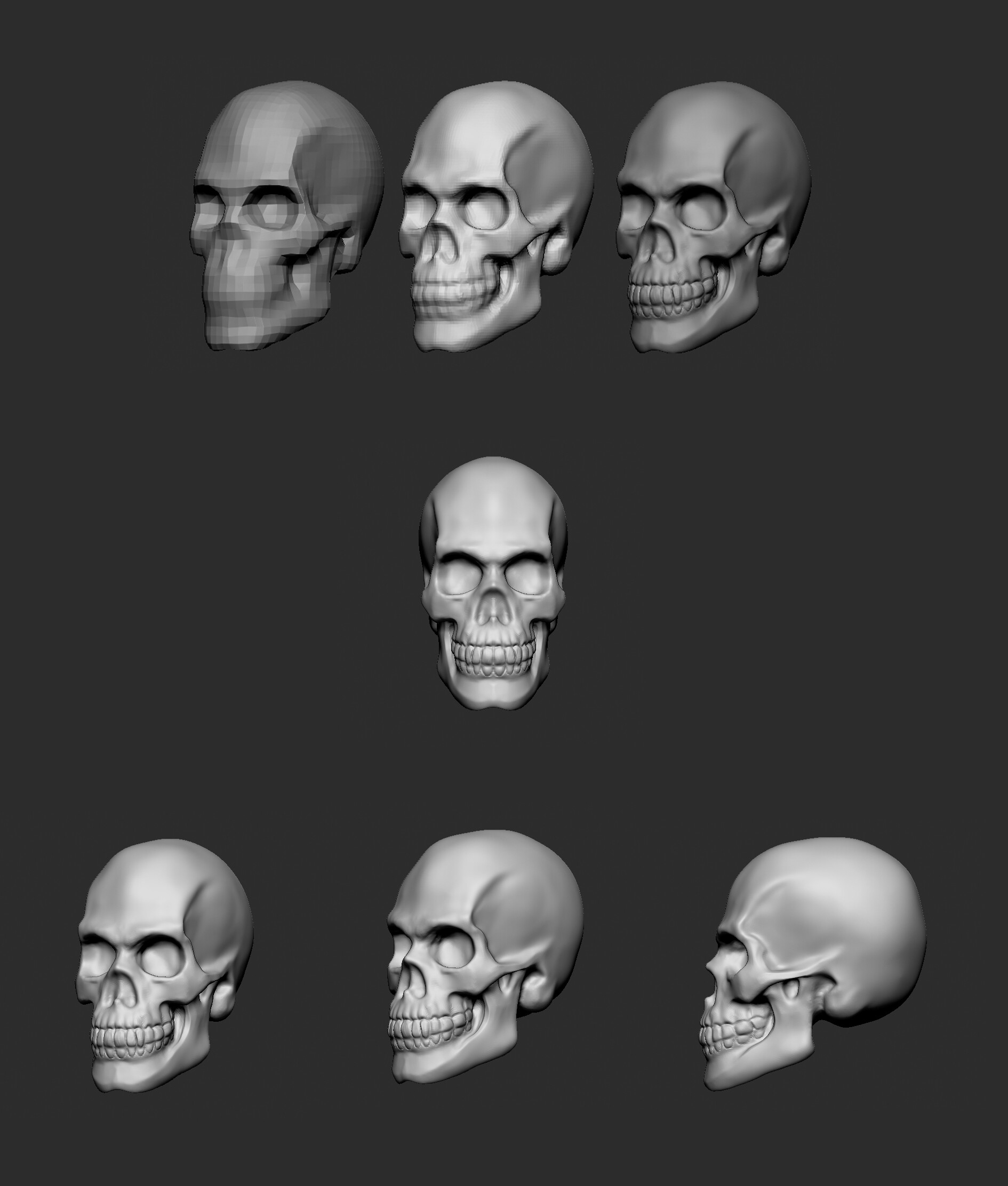 ArtStation - Skull Study - 2024