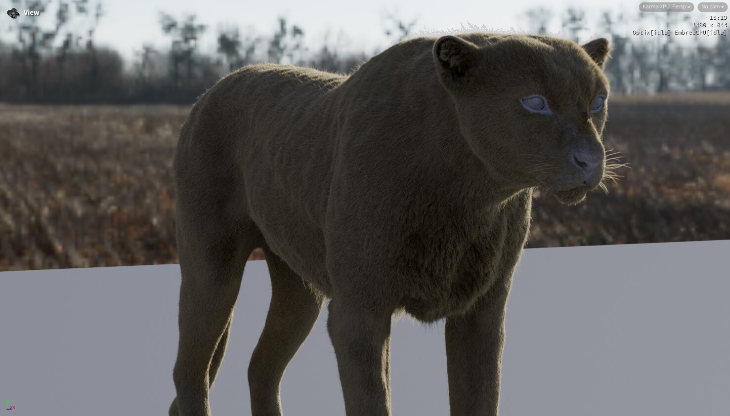 ArtStation - Cheetah grooming in Houdini - WIP