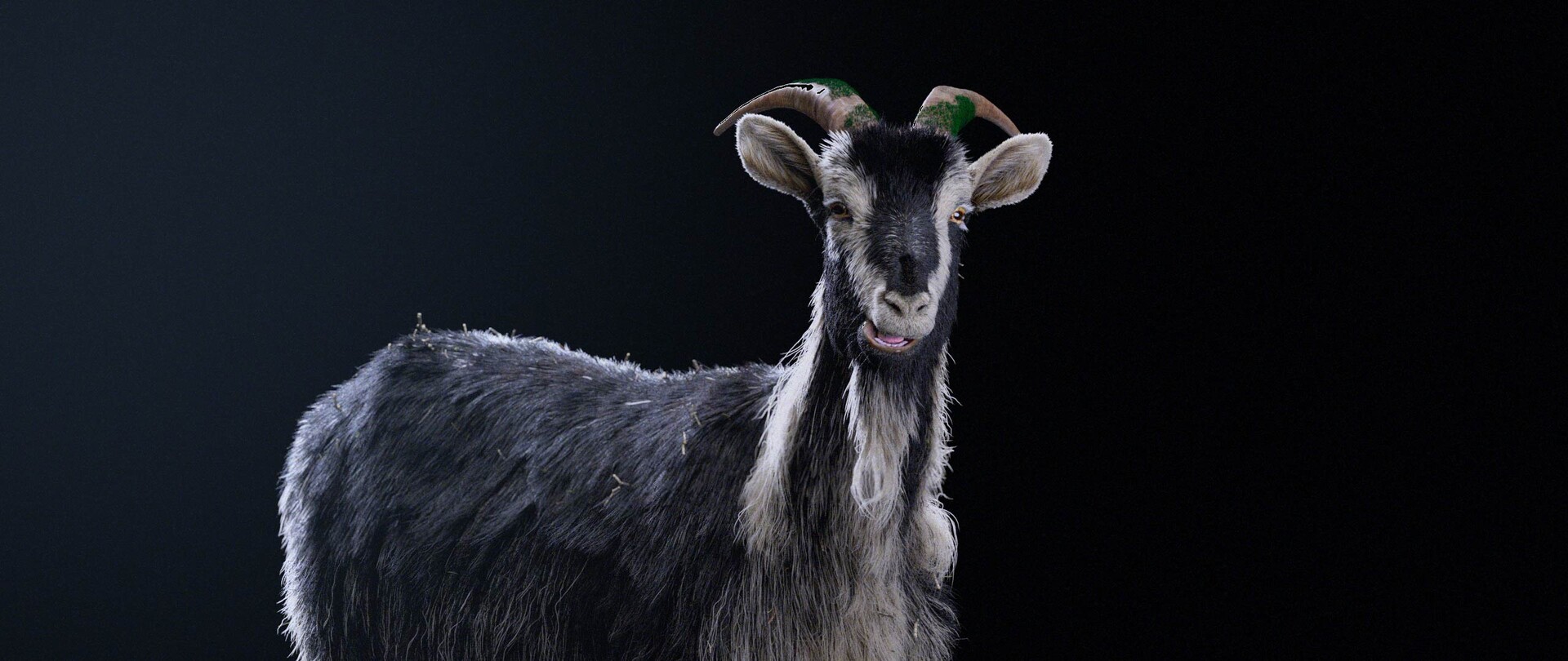 ArtStation - WORKSHOP GROOMING GOAT