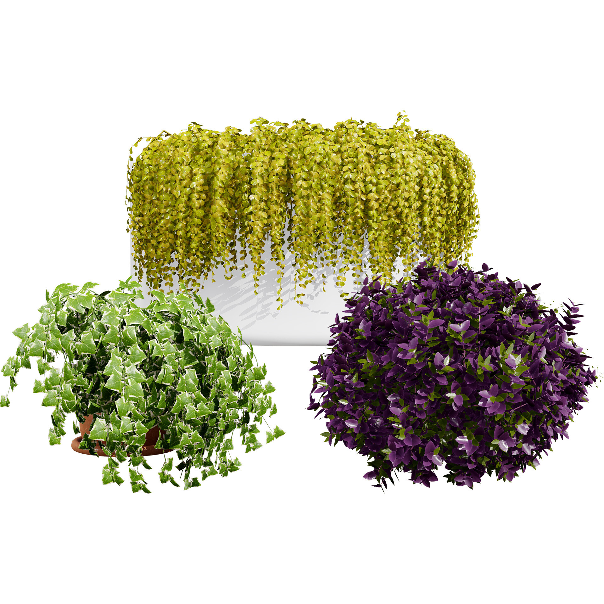 ArtStation - Golden Trio Plants