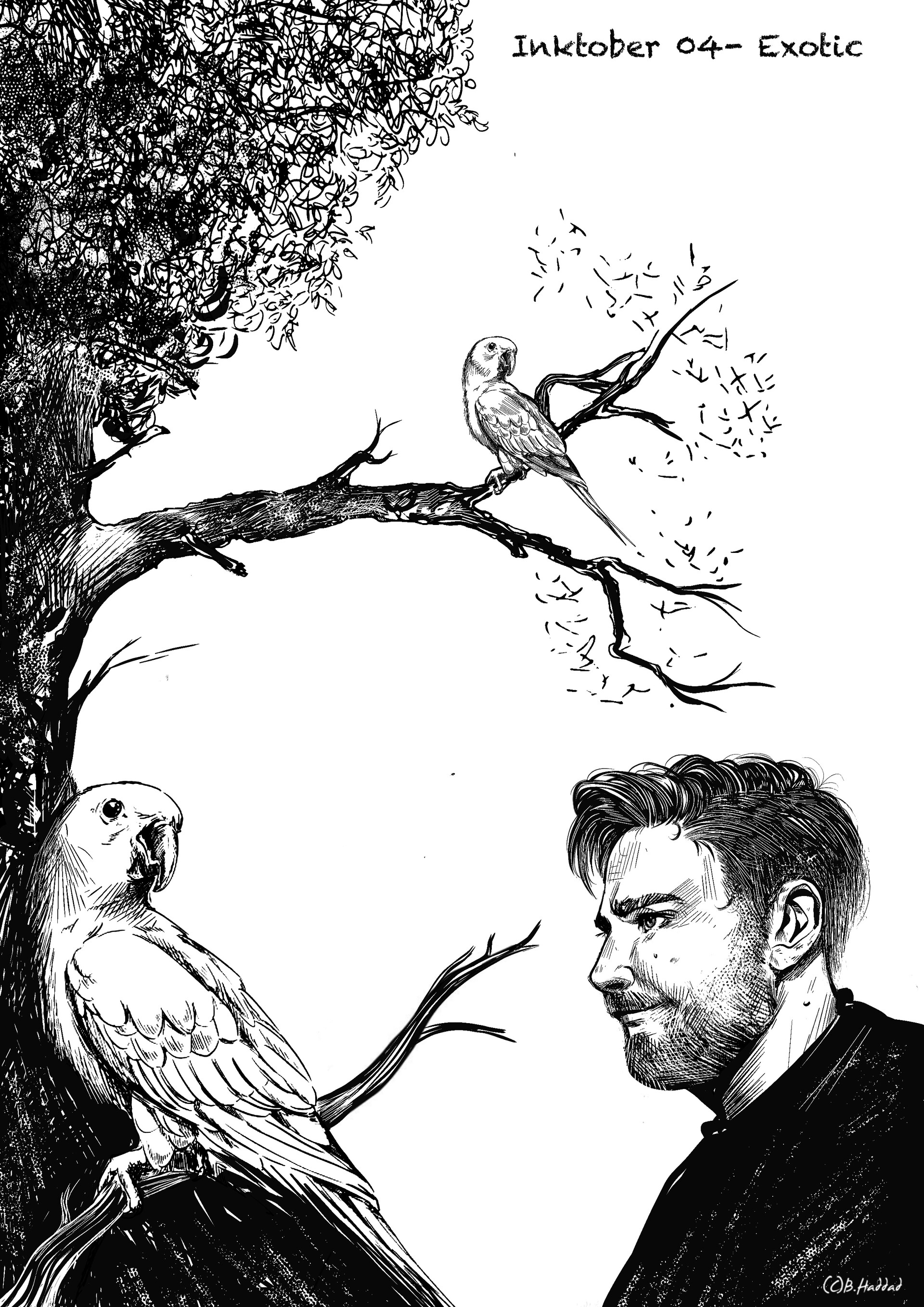 ArtStation - Inktober Day 04- Exotic